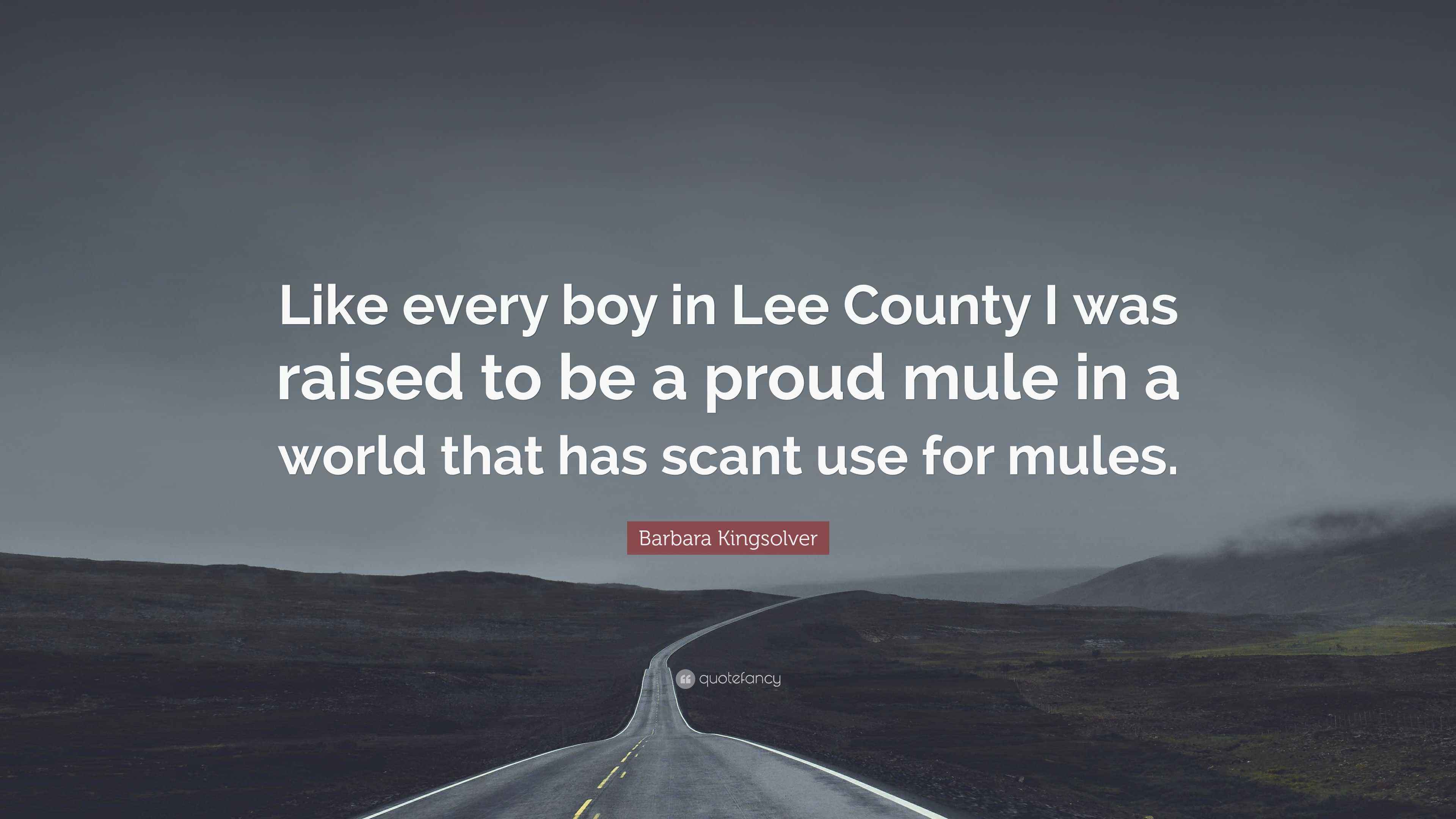 Barbara Kingsolver Quote: “Like every boy in Lee County I was raised to ...