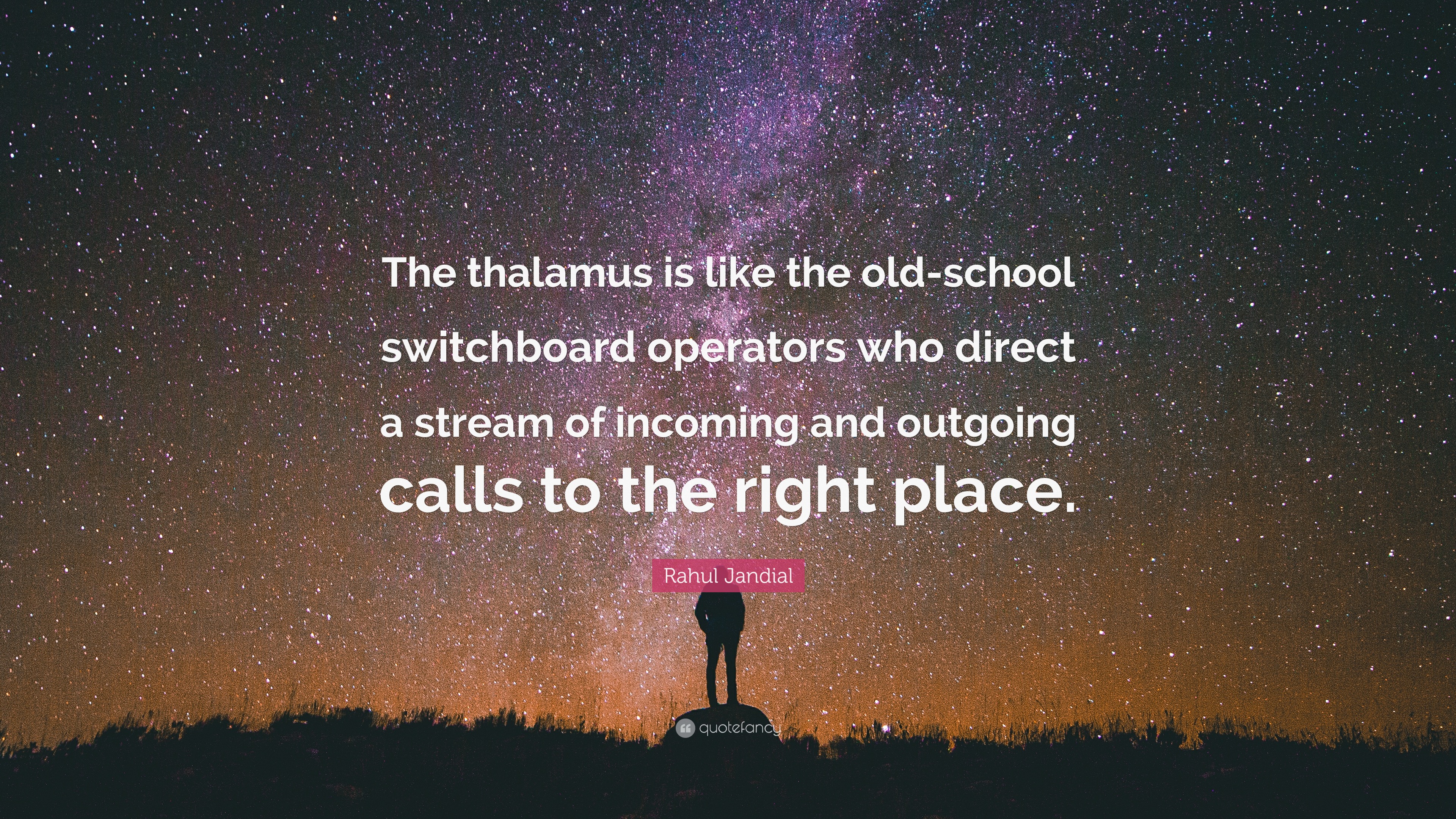 Rahul Jandial Quote: “The thalamus is like the old-school switchboard ...