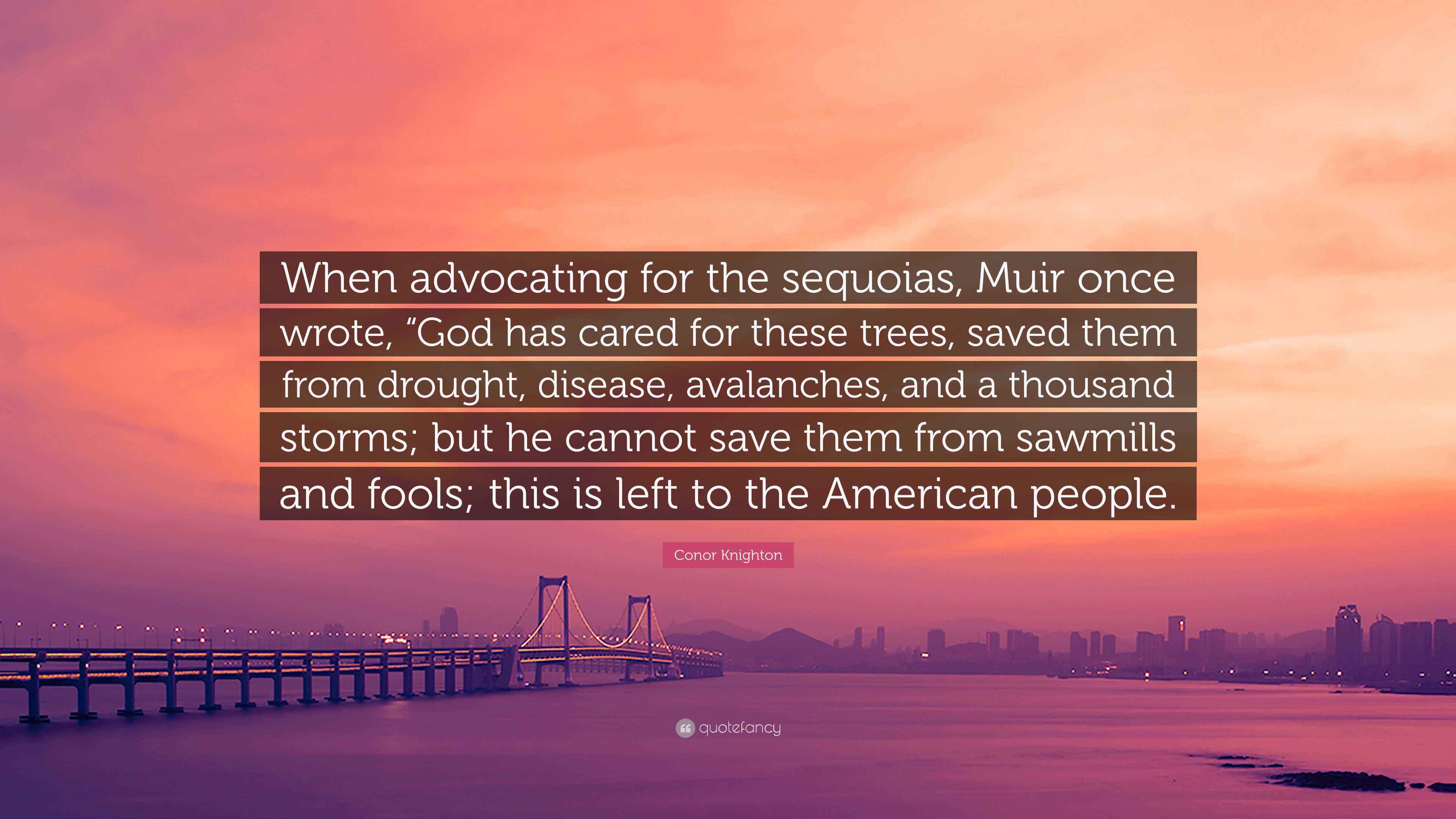 Conor Knighton Quote: “When advocating for the sequoias, Muir once ...