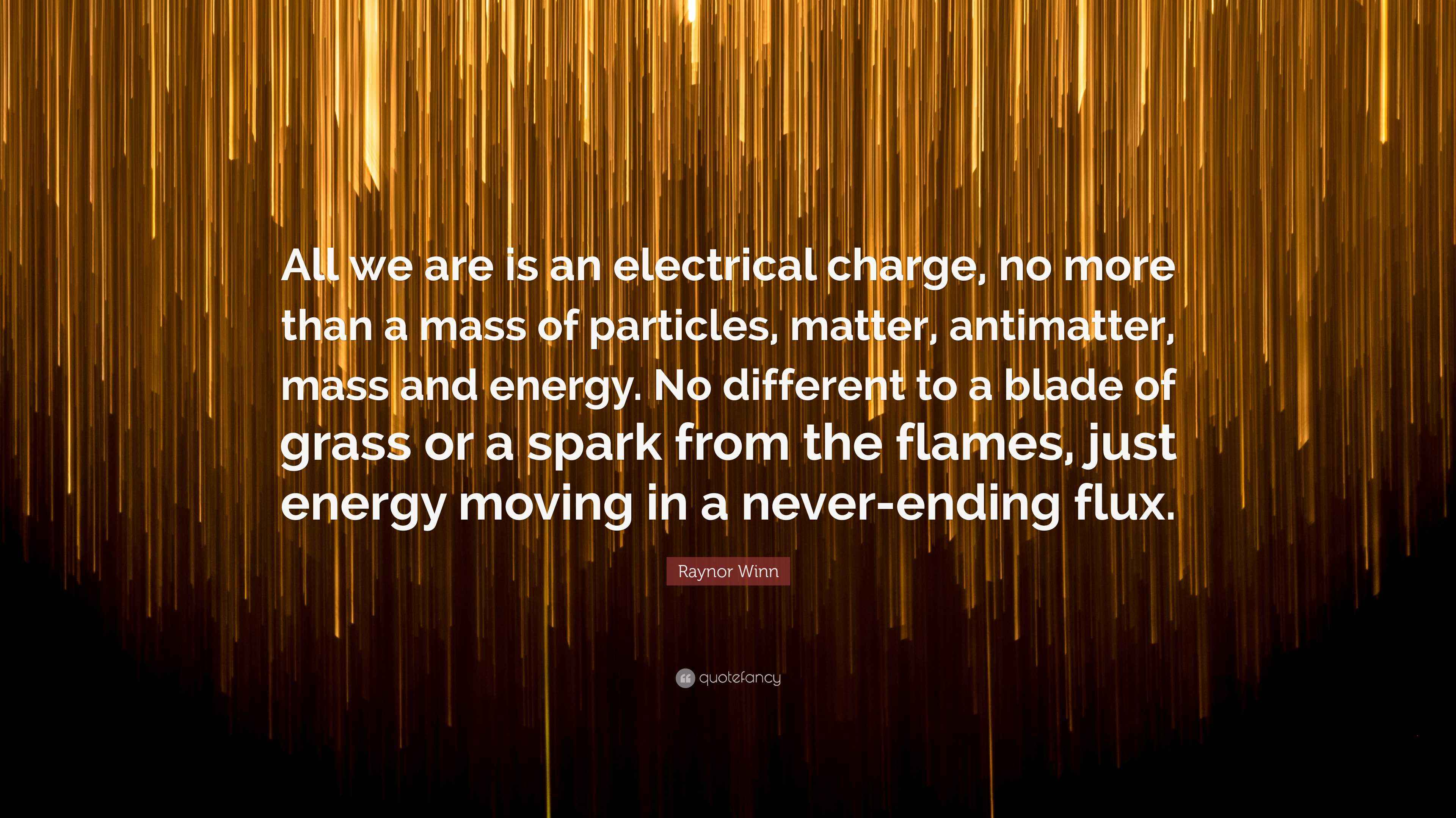 Raynor Winn Quote: “All we are is an electrical charge, no more than a ...