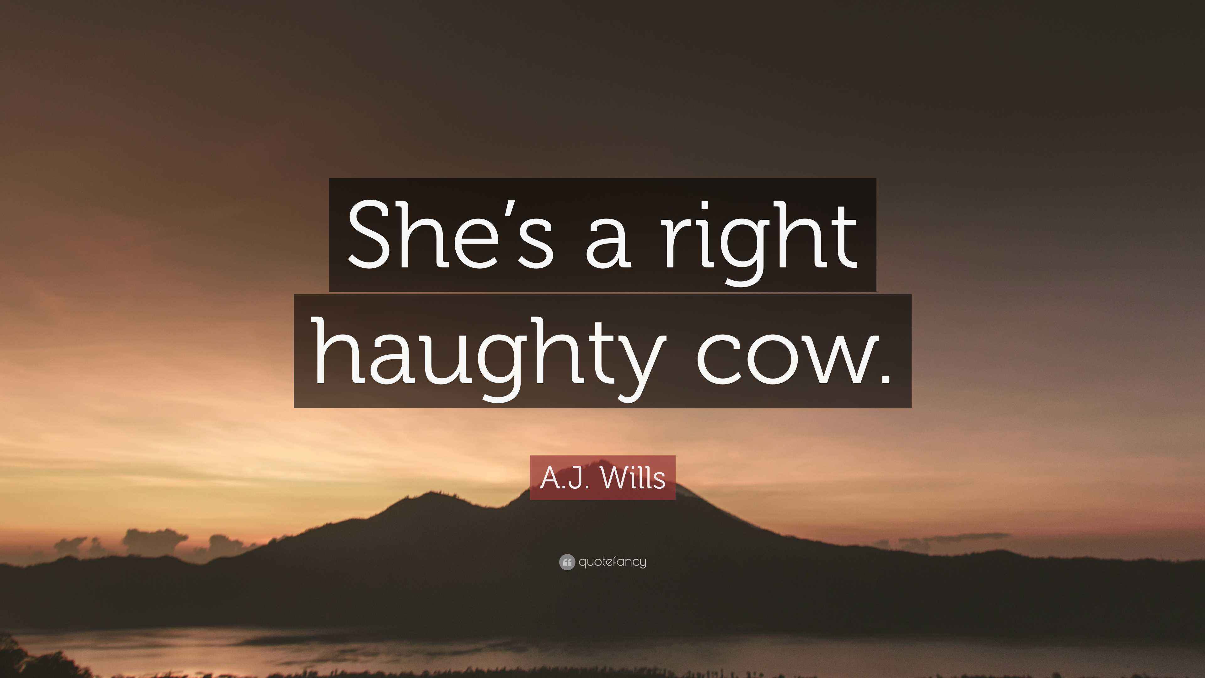 A.J. Wills Quote: “She’s a right haughty cow.”