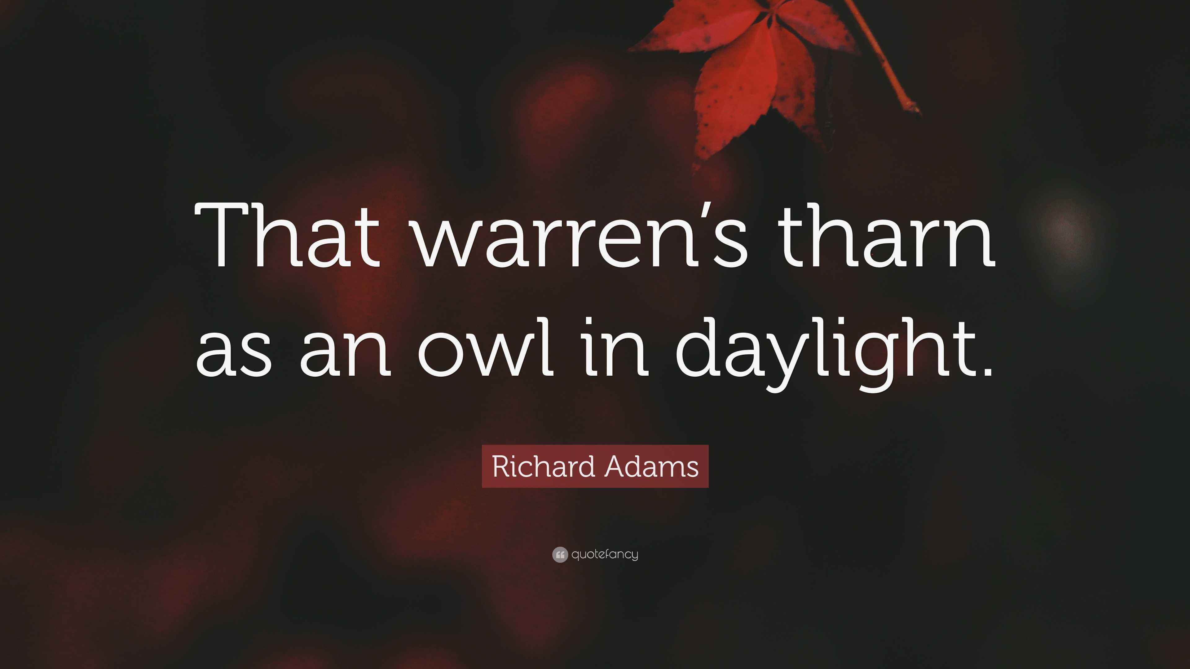 Richard Adams Quote: “That warren’s tharn as an owl in daylight.”