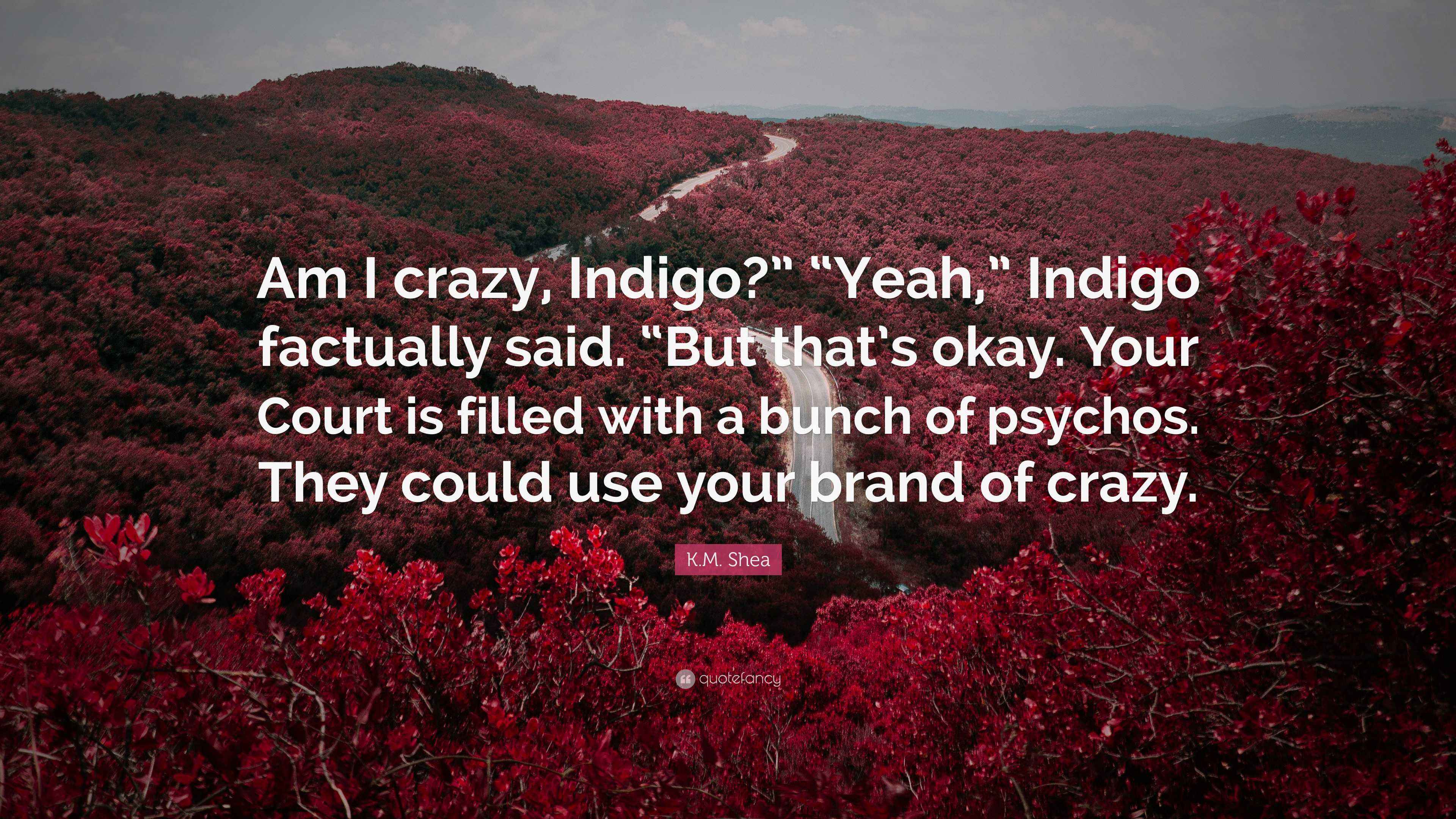 K.M. Shea Quote: “Am I crazy, Indigo?” “Yeah,” Indigo factually said ...