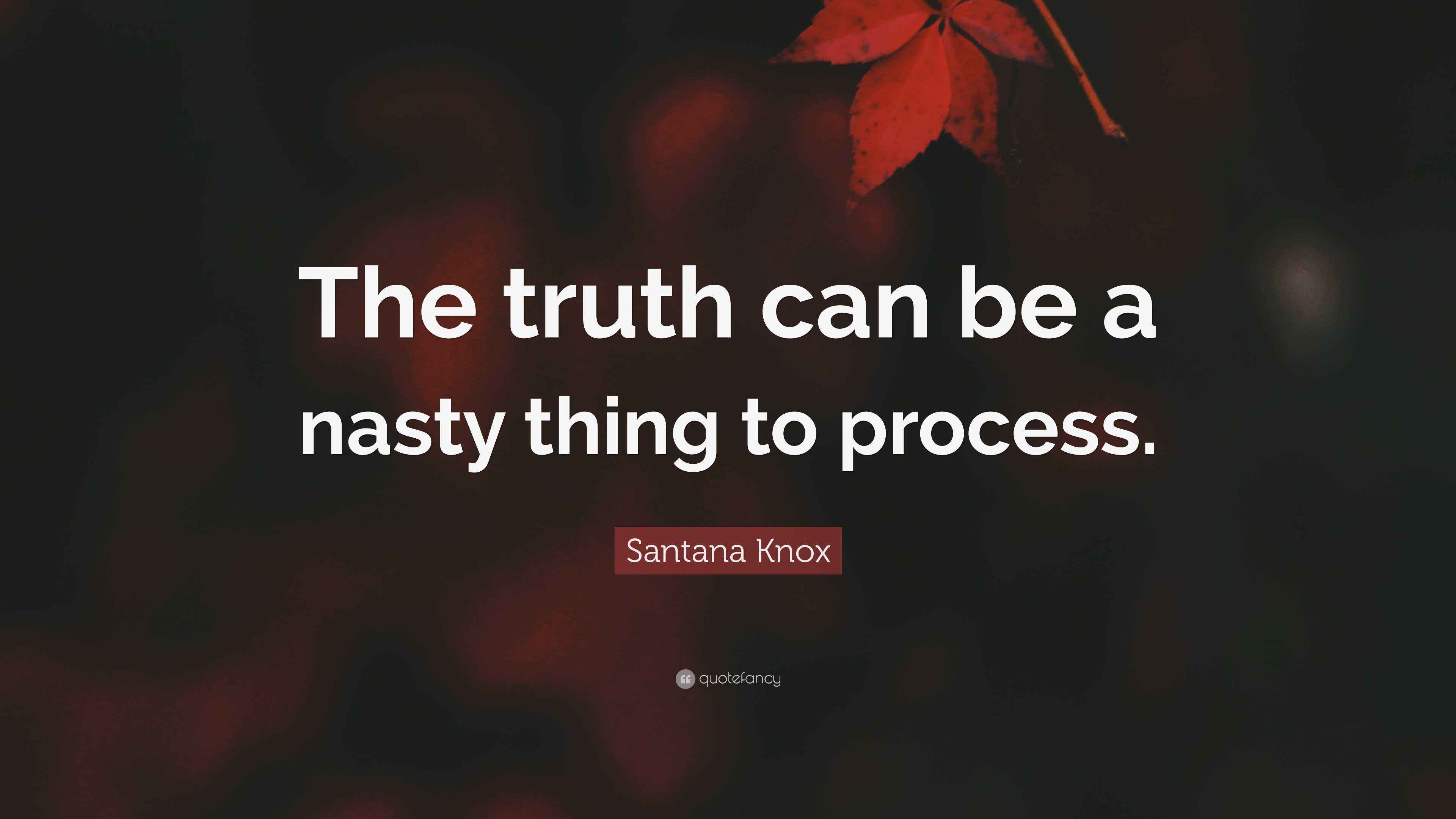 Santana Knox Quote: “The truth can be a nasty thing to process.”