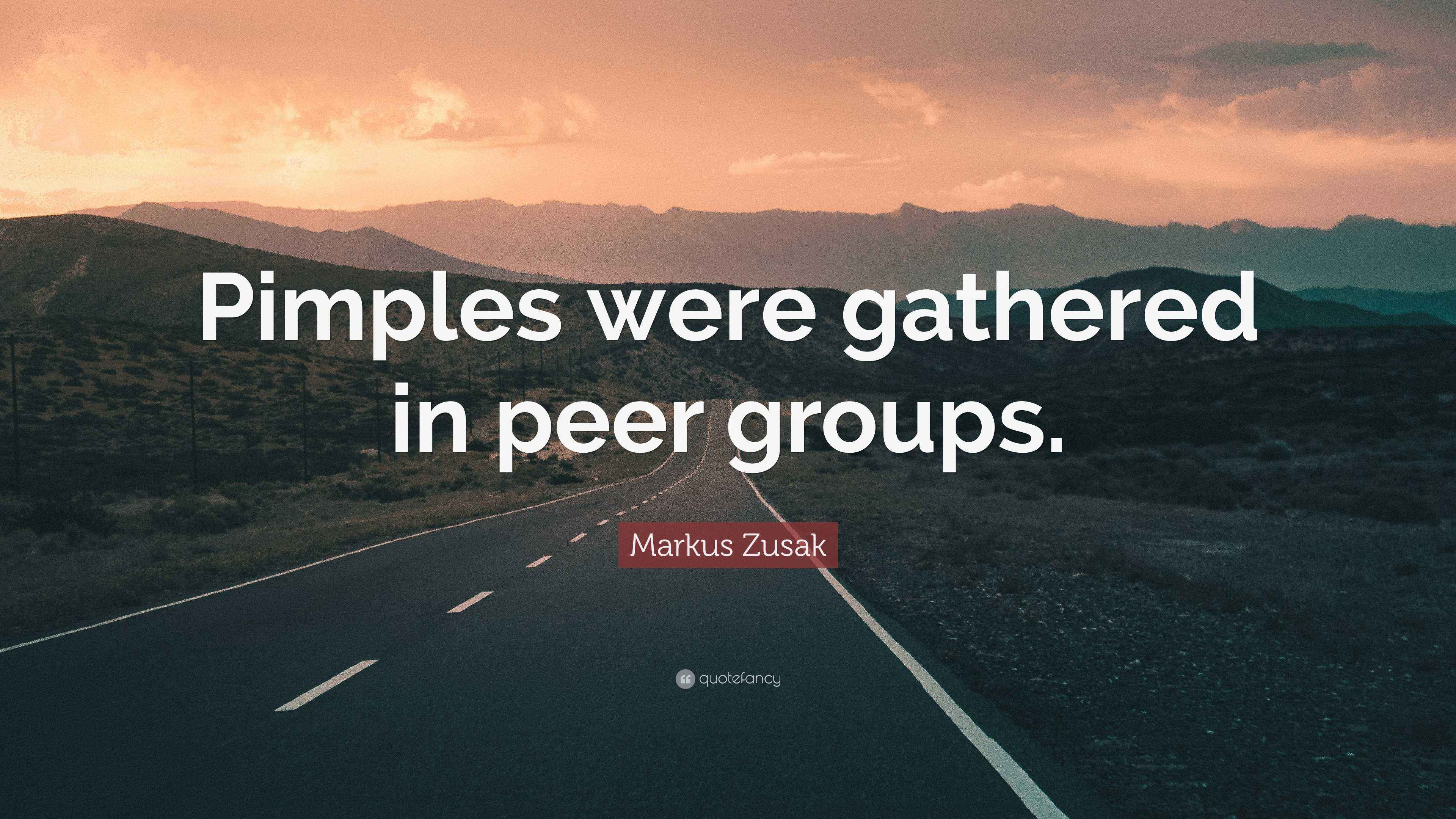 Markus Zusak Quote: “Pimples were gathered in peer groups.”