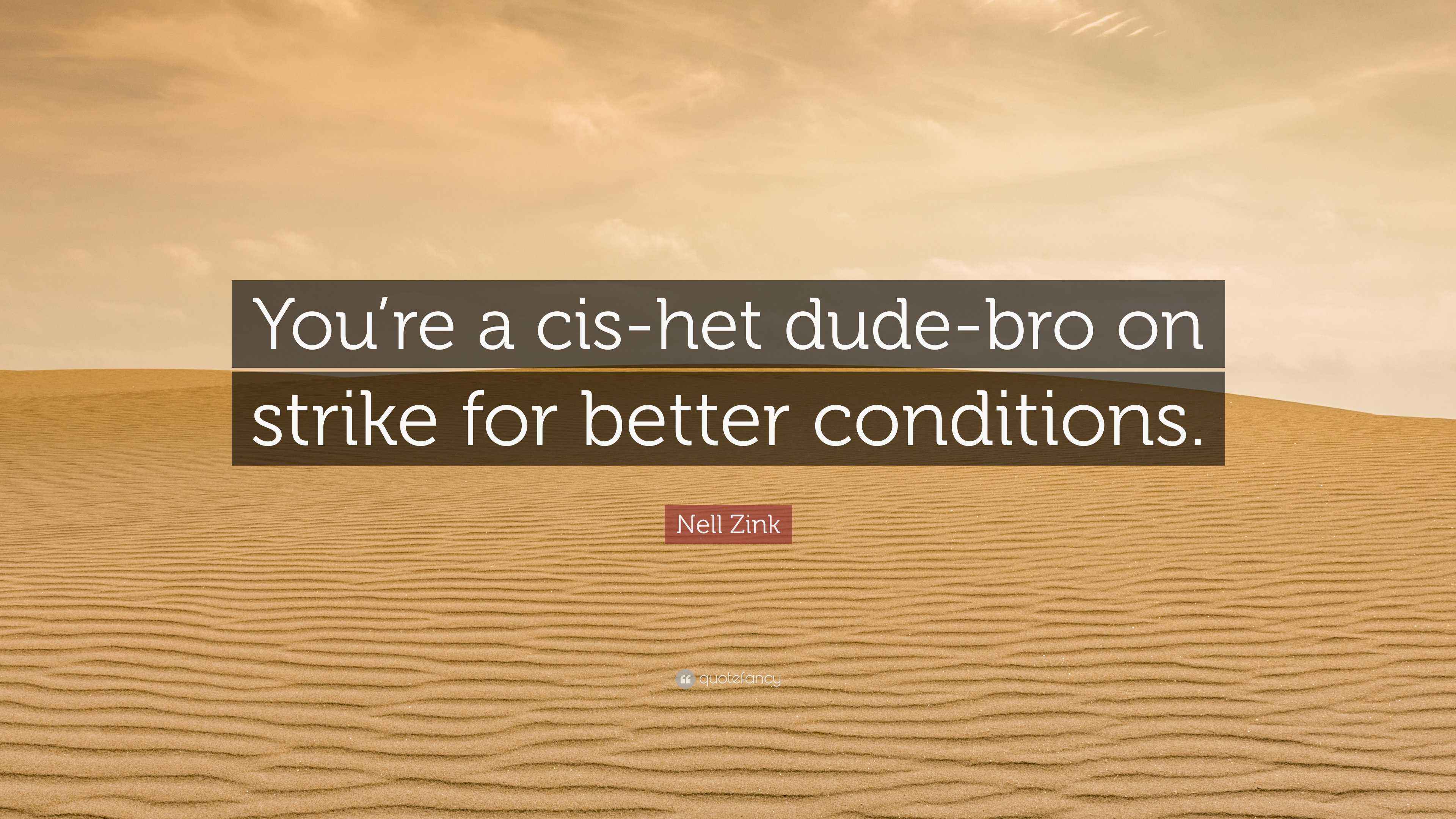 Nell Zink Quote: “You’re a cis-het dude-bro on strike for better ...