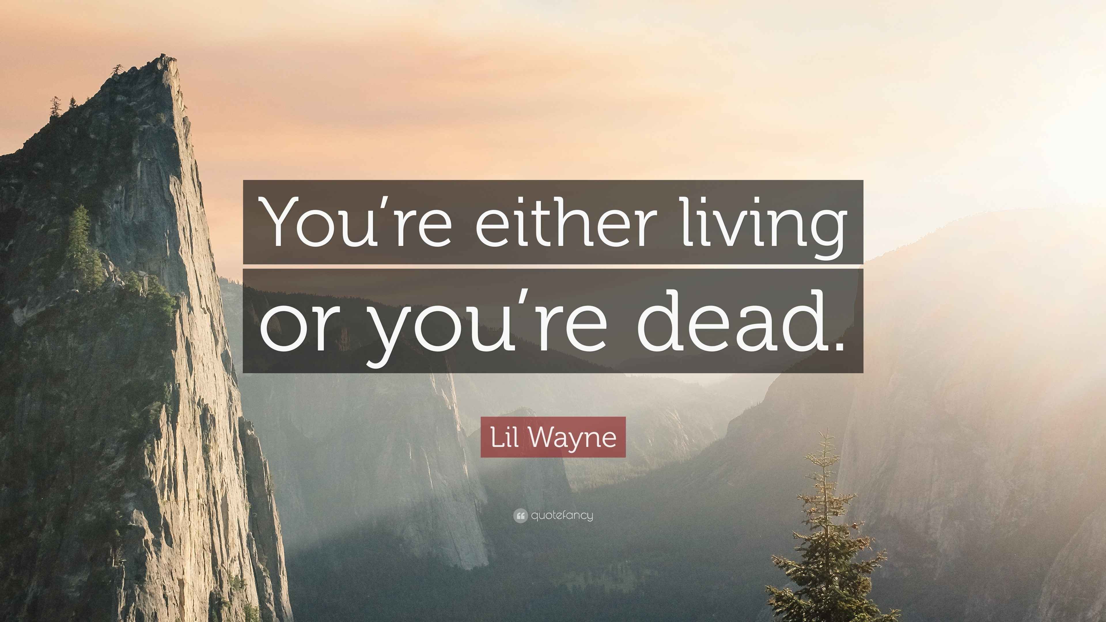 Lil Wayne Quote: “You’re either living or you’re dead.”
