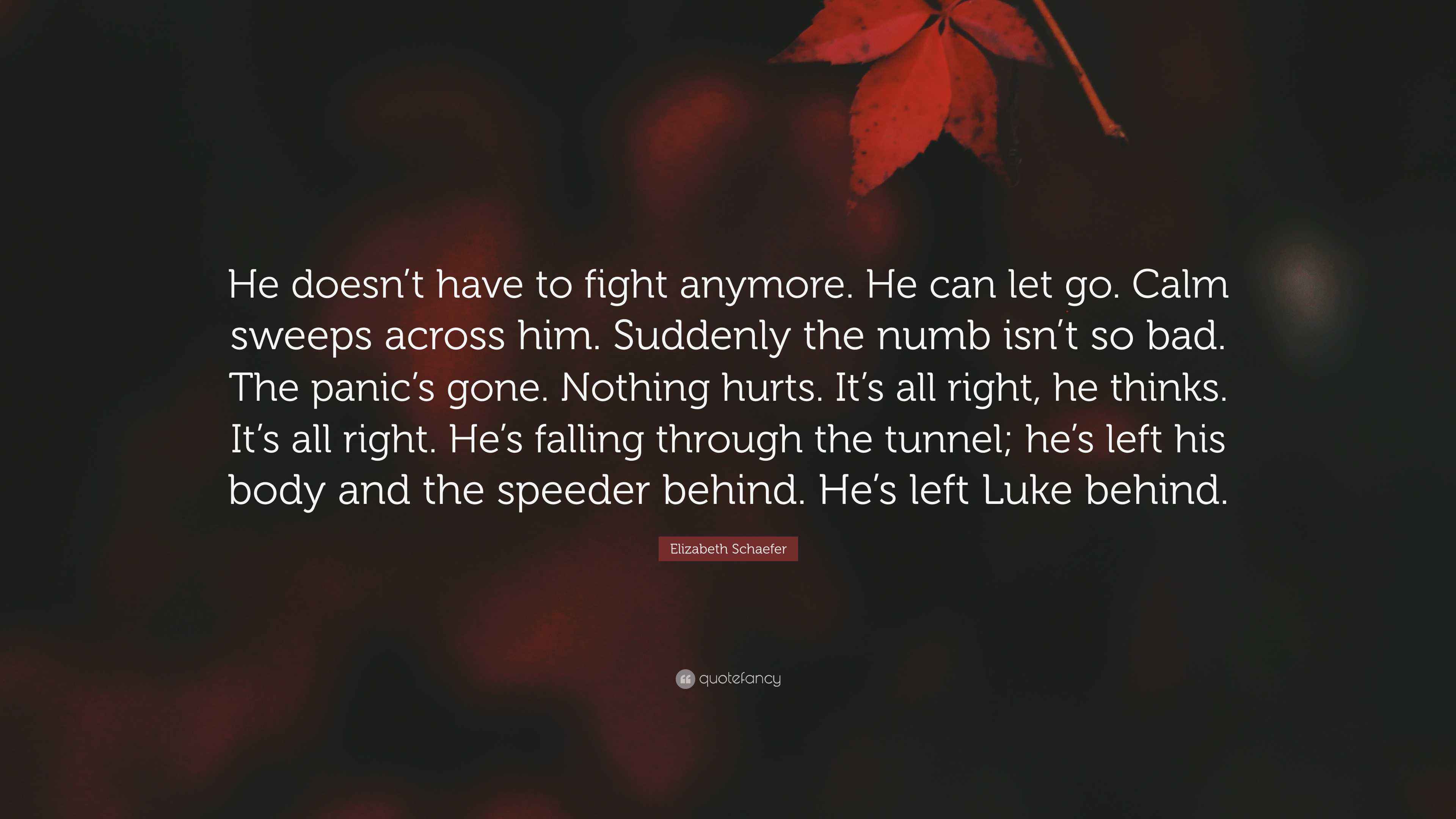 Elizabeth Schaefer Quote: “He doesn’t have to fight anymore. He can let ...
