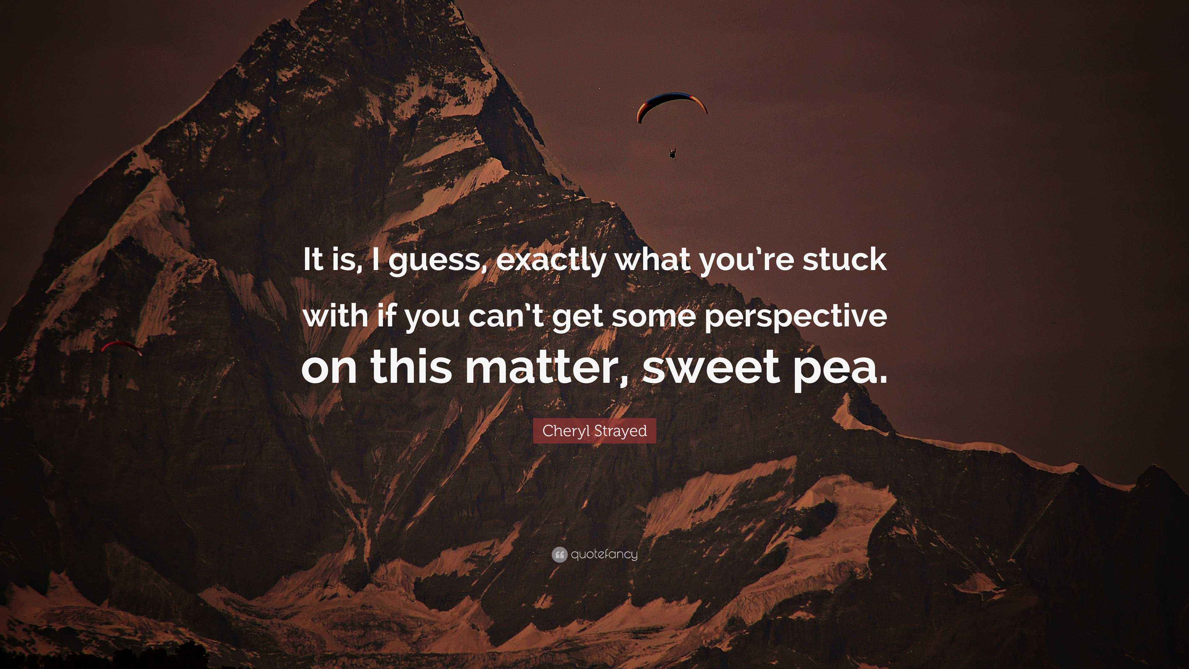 Cheryl Strayed Quote: “It is, I guess, exactly what you’re stuck with ...