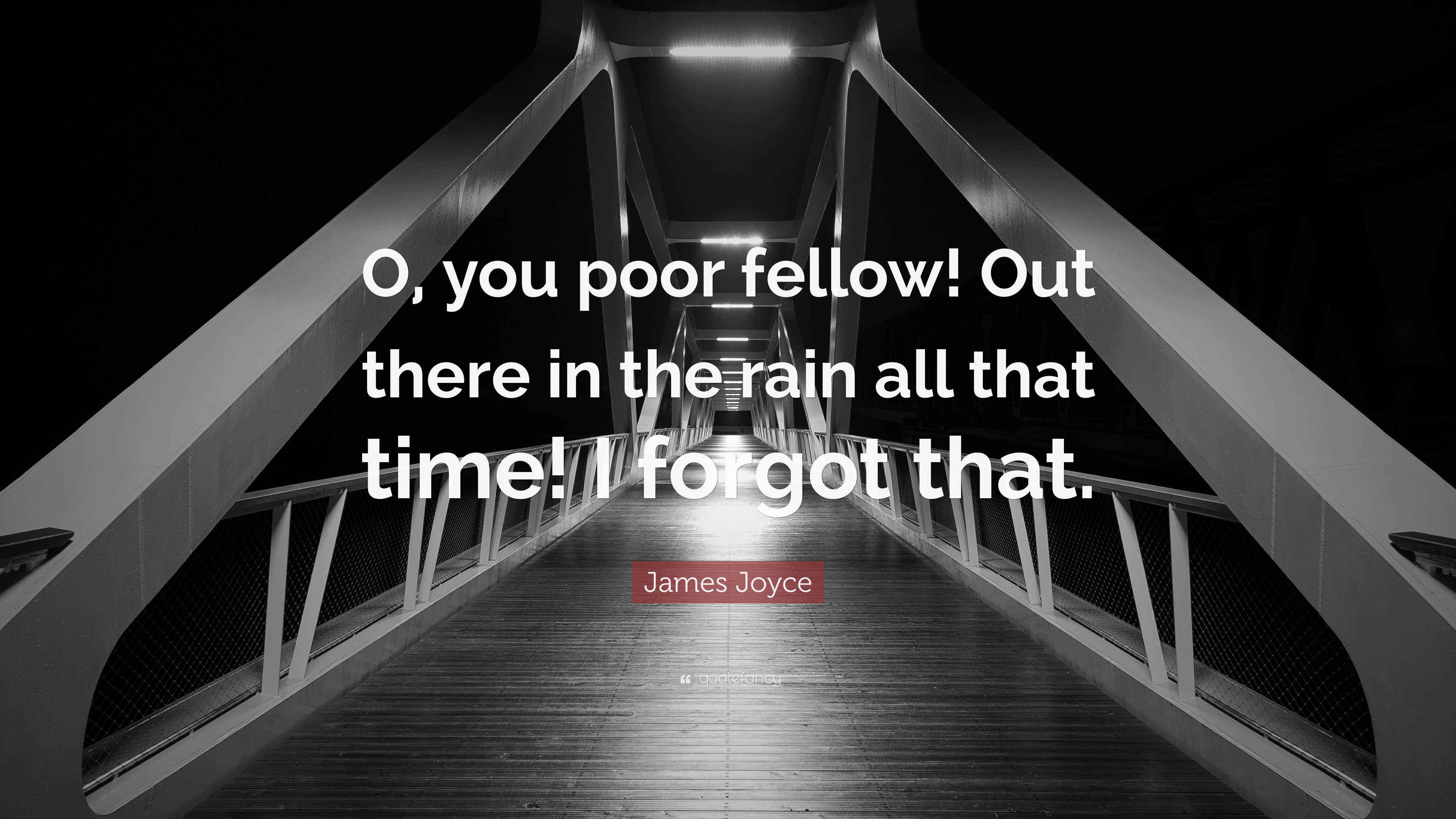 James Joyce Quote: “O, you poor fellow! Out there in the rain all that ...