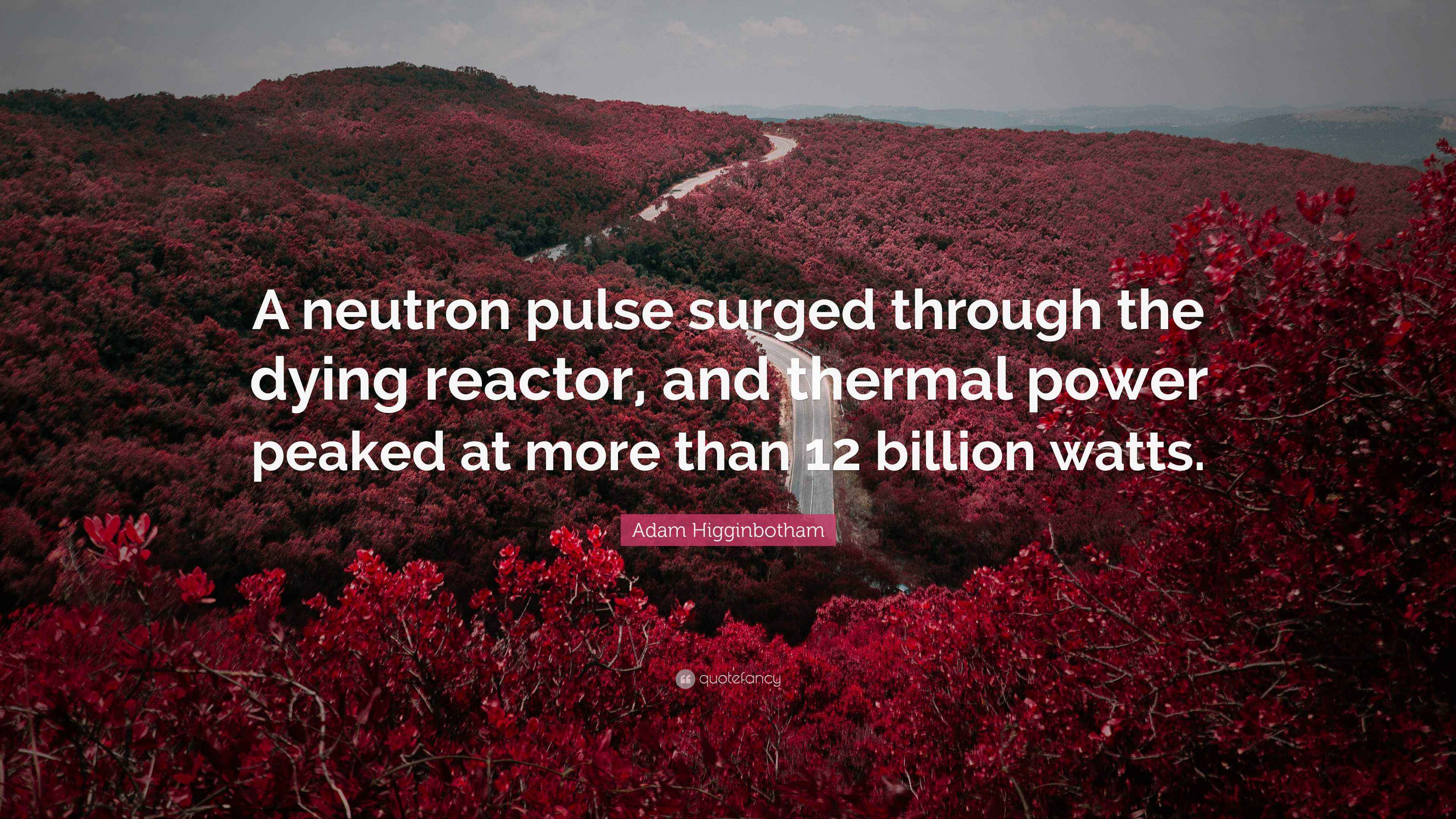 Adam Higginbotham Quote: “A neutron pulse surged through the dying ...