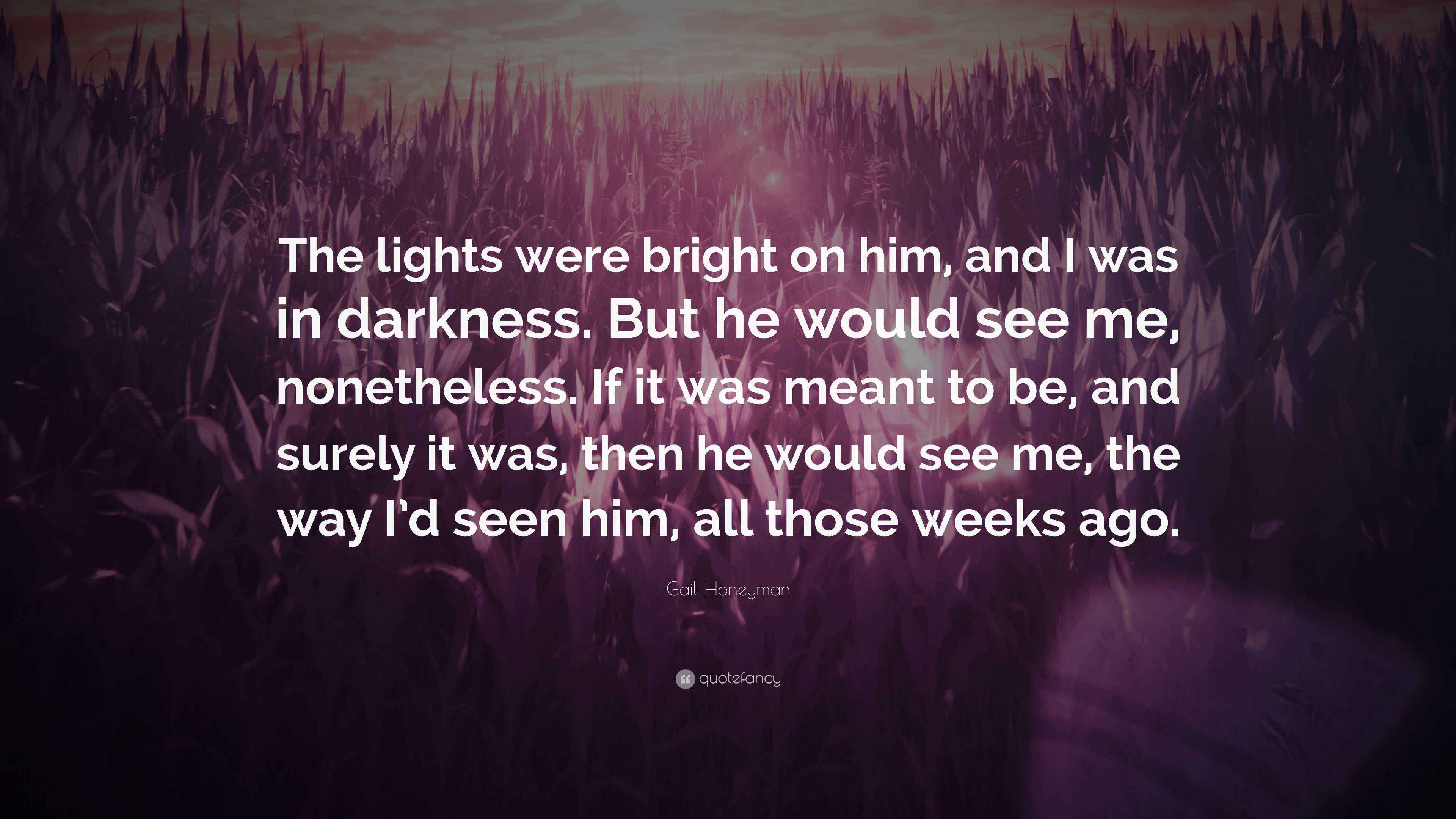 Gail Honeyman Quote: “The lights were bright on him, and I was in ...