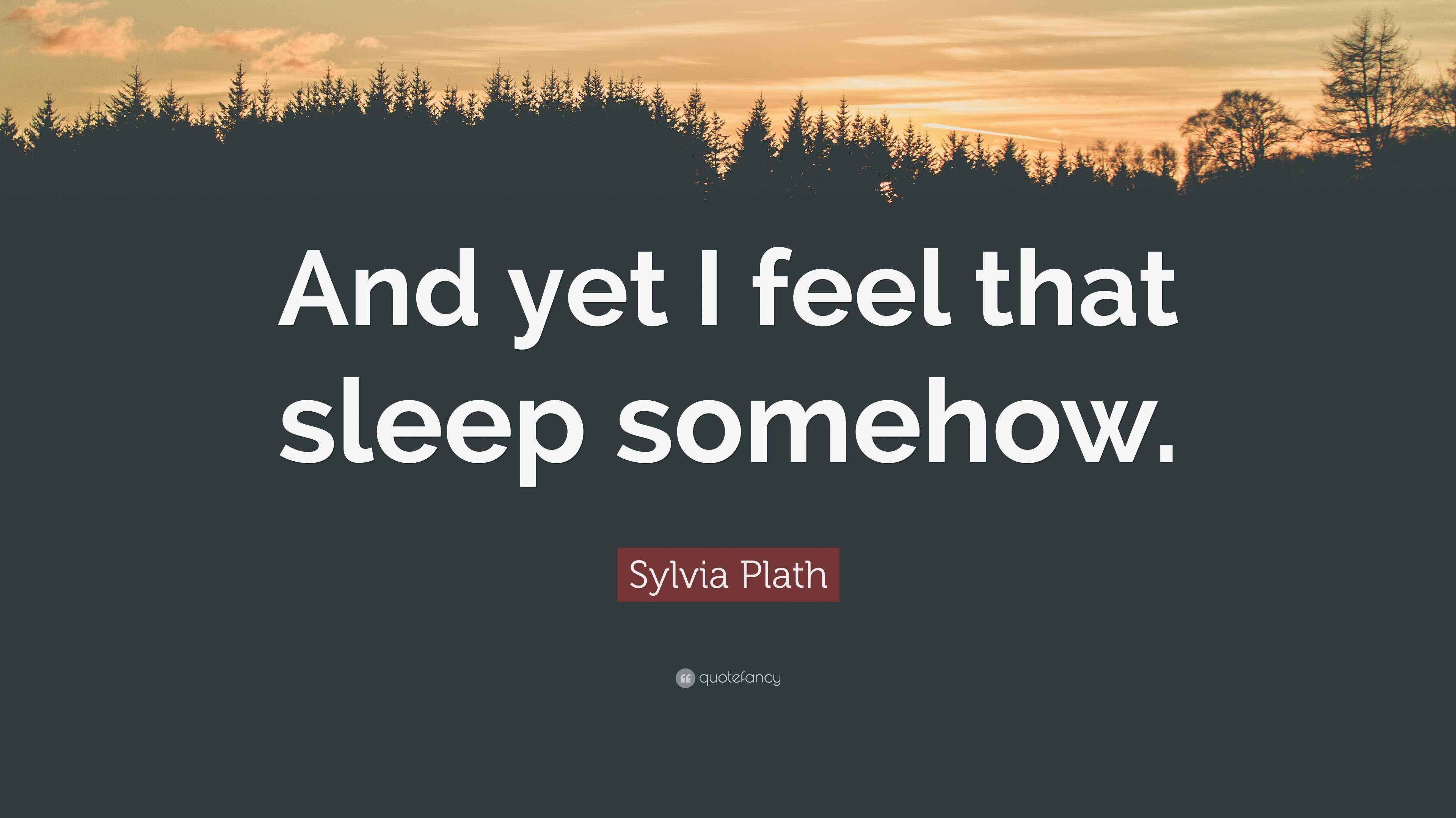 Sylvia Plath Quote: “And yet I feel that sleep somehow.”