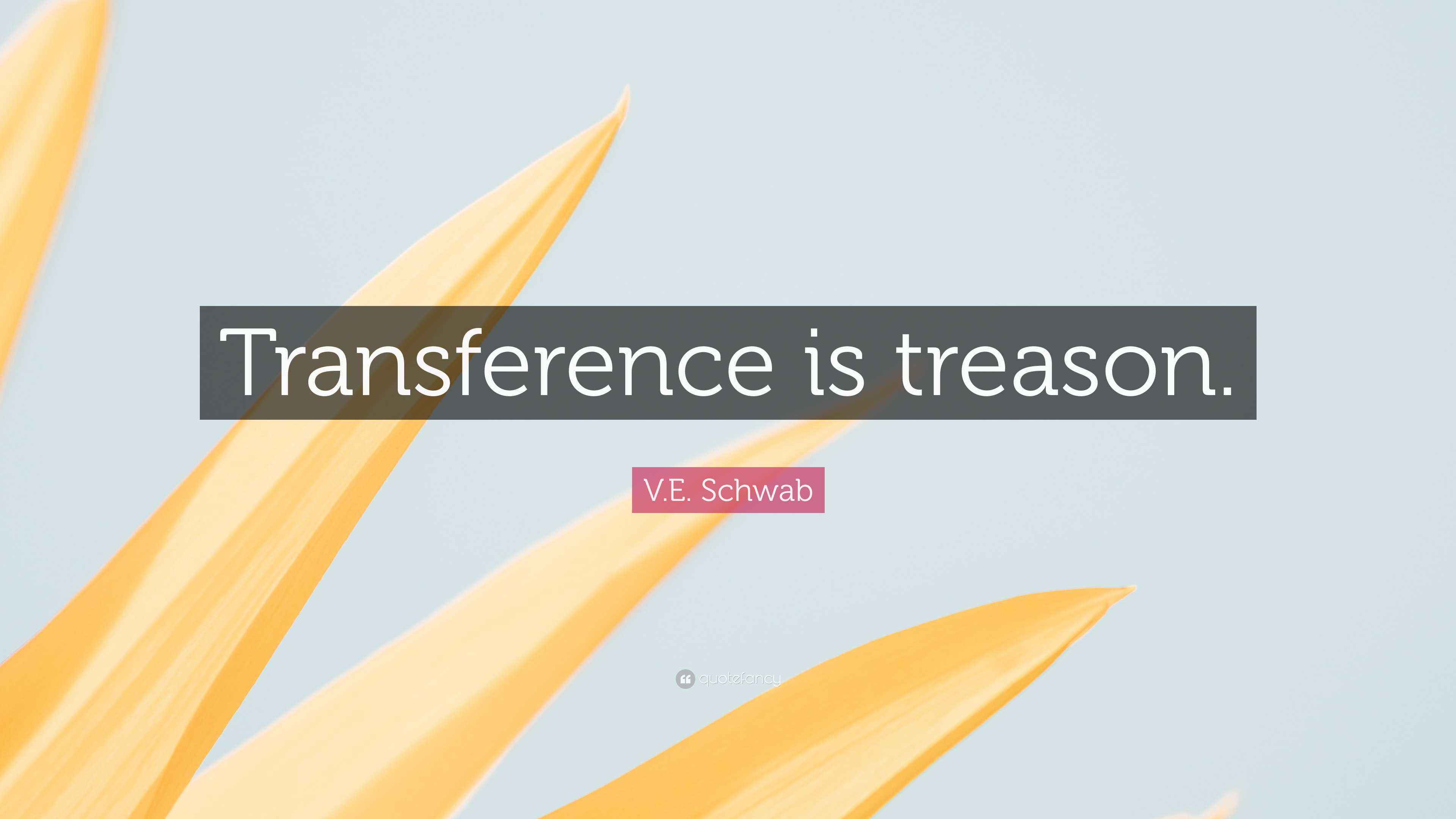 V.E. Schwab Quote: “Transference is treason.”