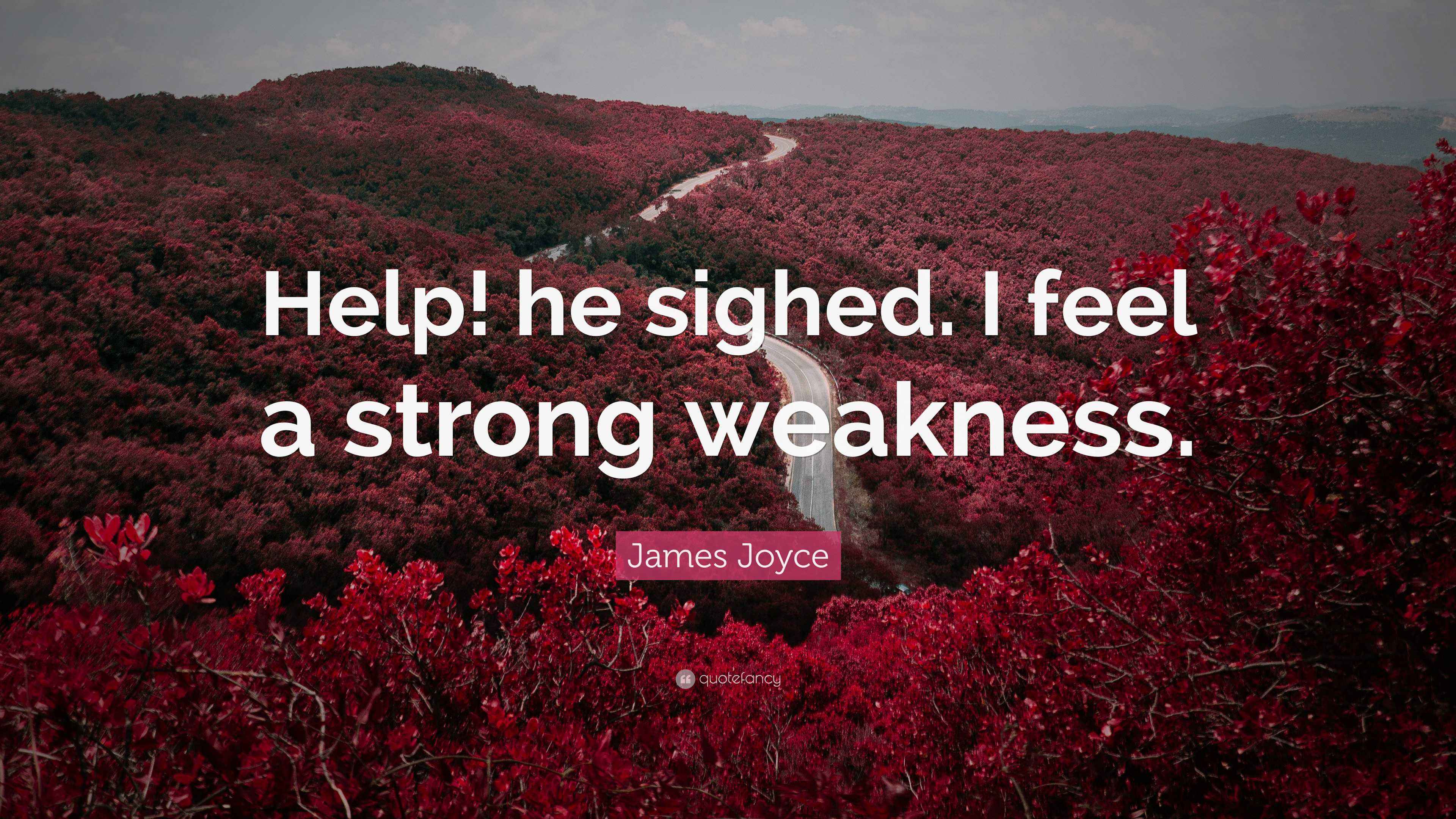 James Joyce Quote: “Help! he sighed. I feel a strong weakness.”