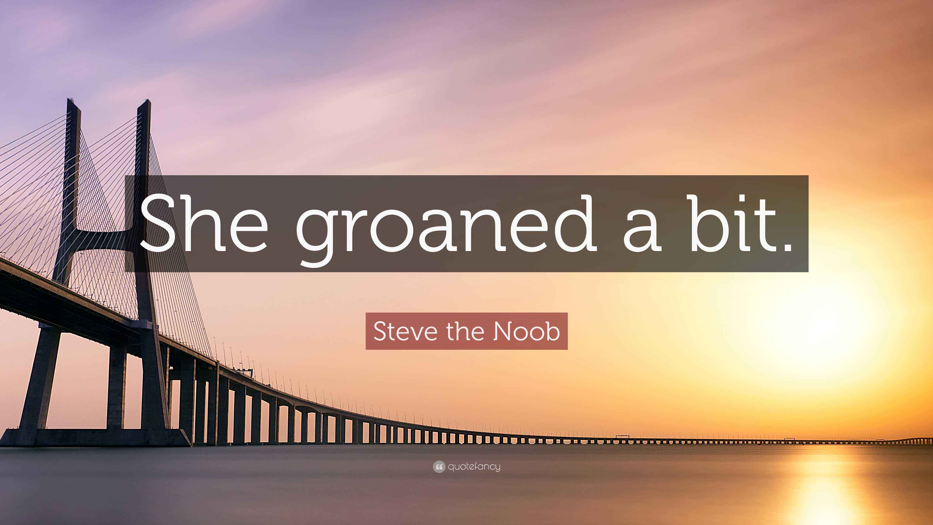 Steve the Noob Quote: “She groaned a bit.”