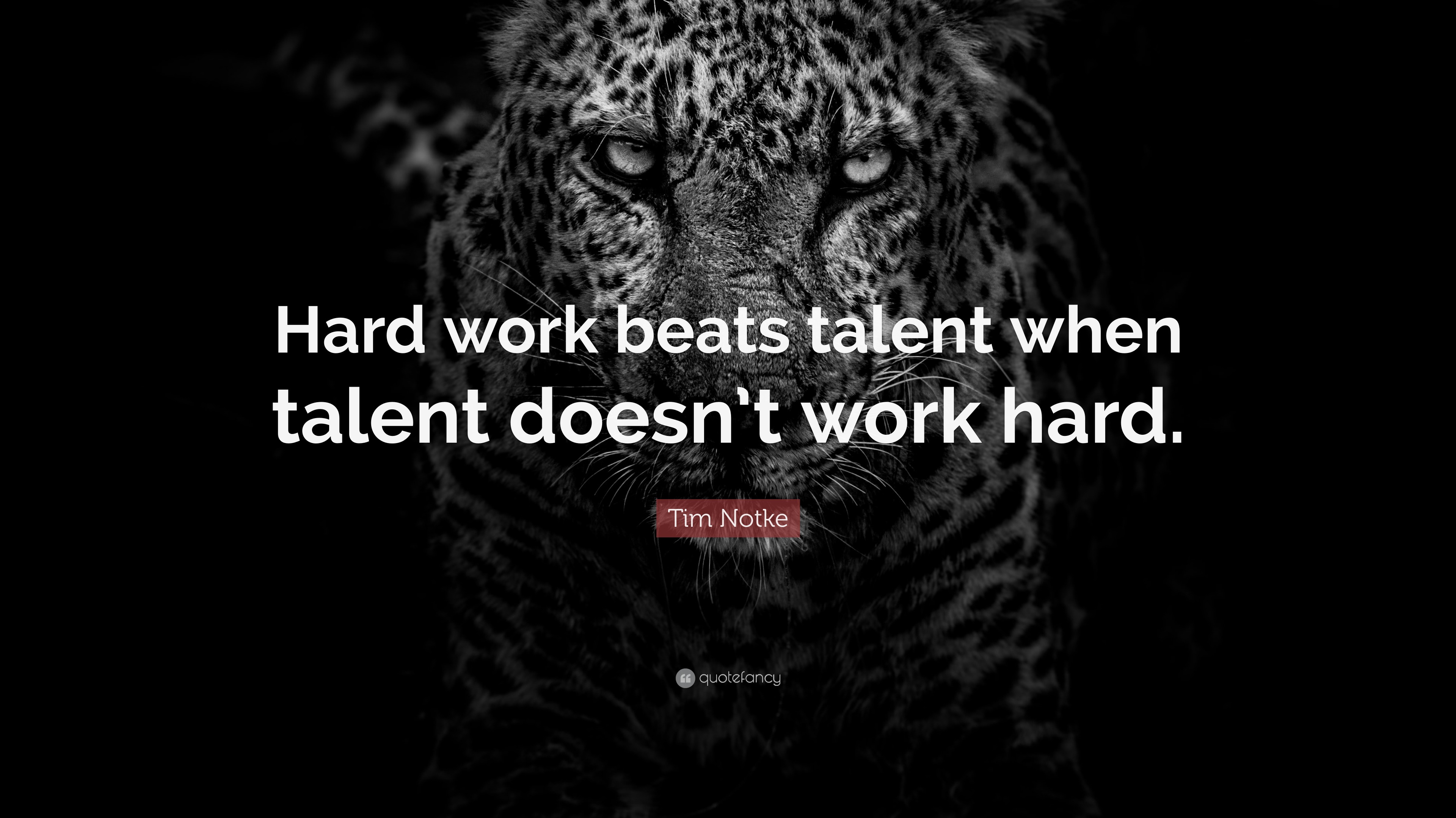 Tim Notke Quote: “Hard work beats talent when talent doesn’t work hard.”