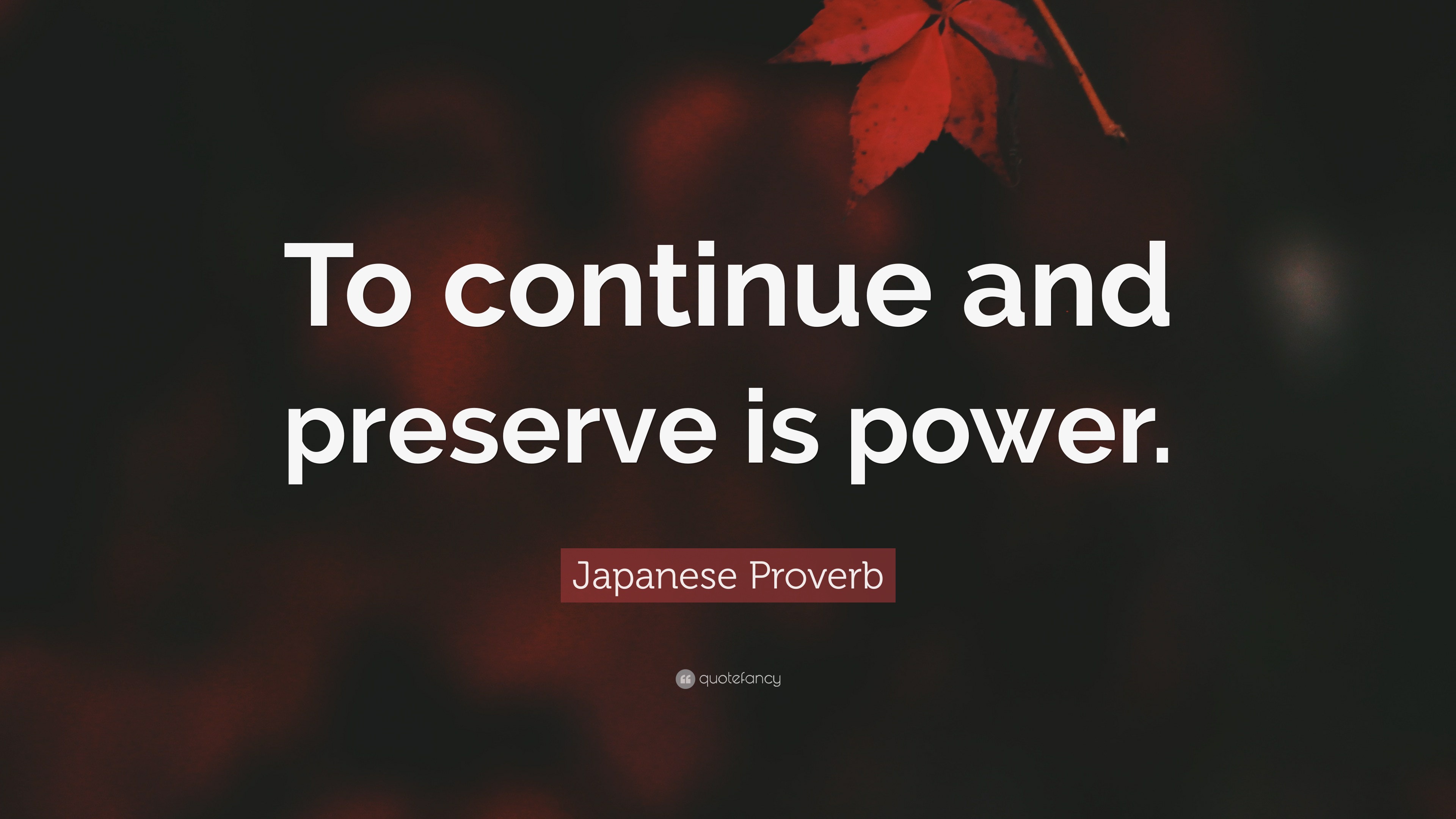 Japanese Proverb Quote: “To continue and preserve is power.”