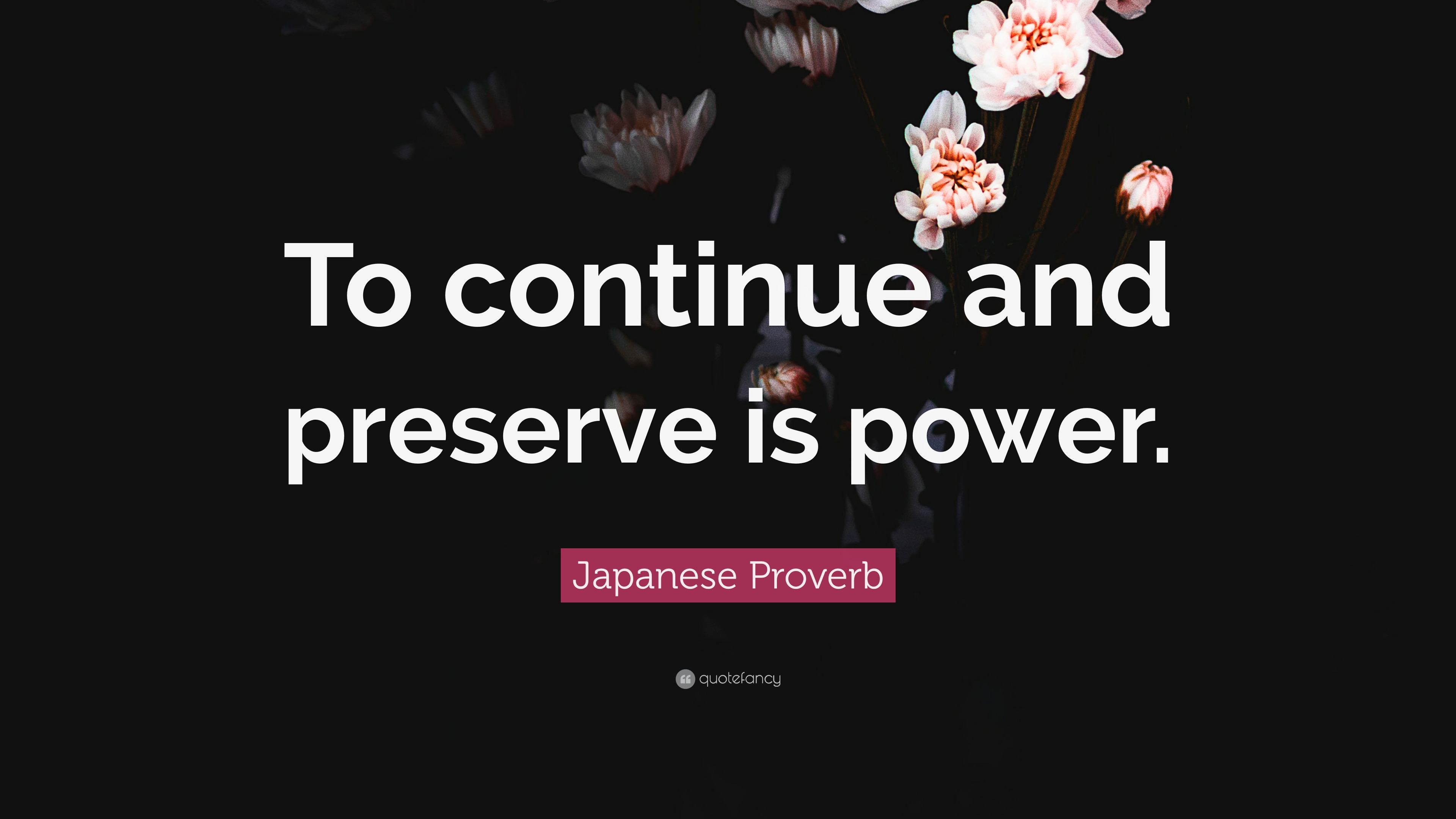 Japanese Proverb Quote: “To continue and preserve is power.”