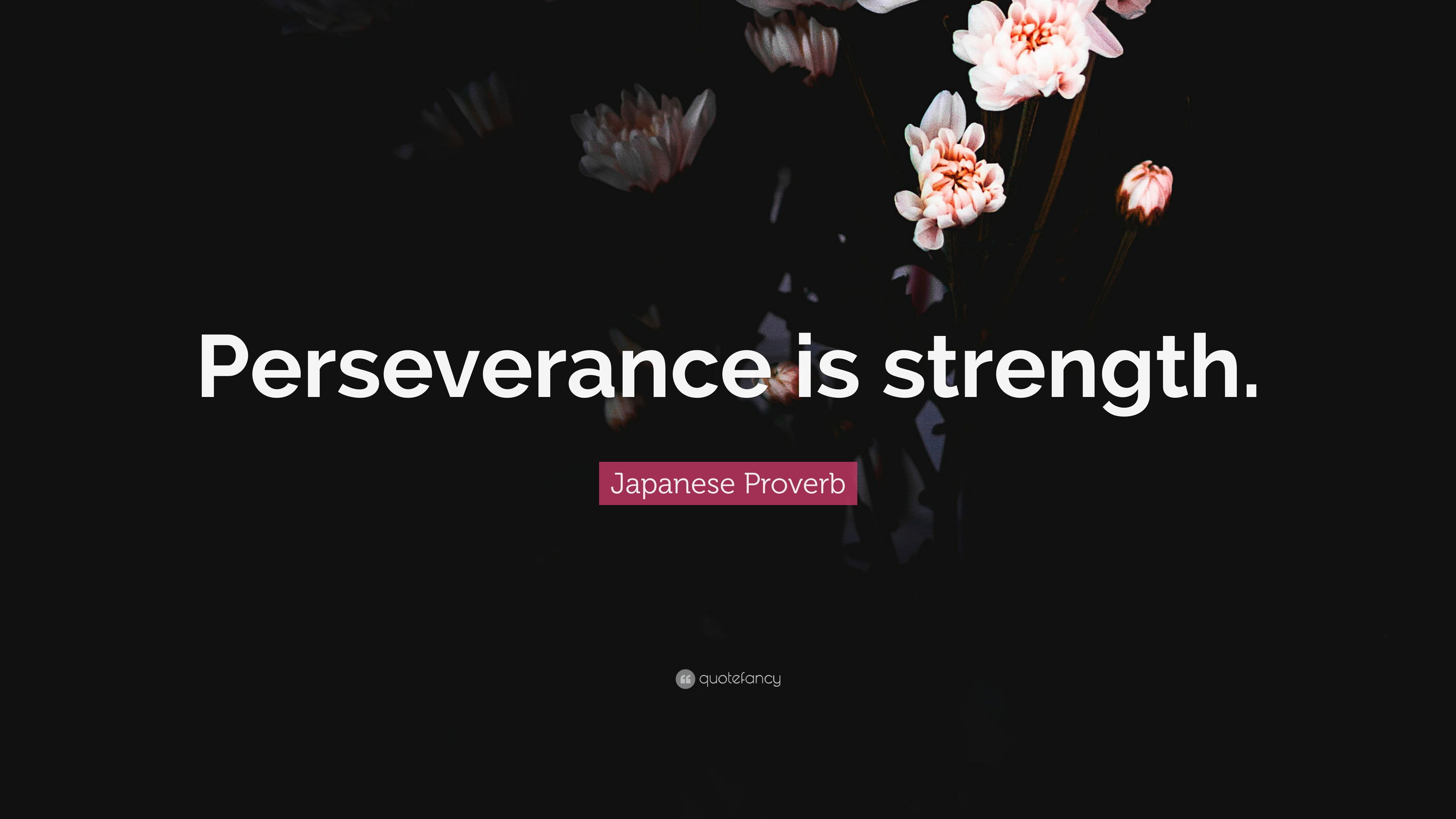 Japanese Proverb Quote: “Perseverance is strength.”