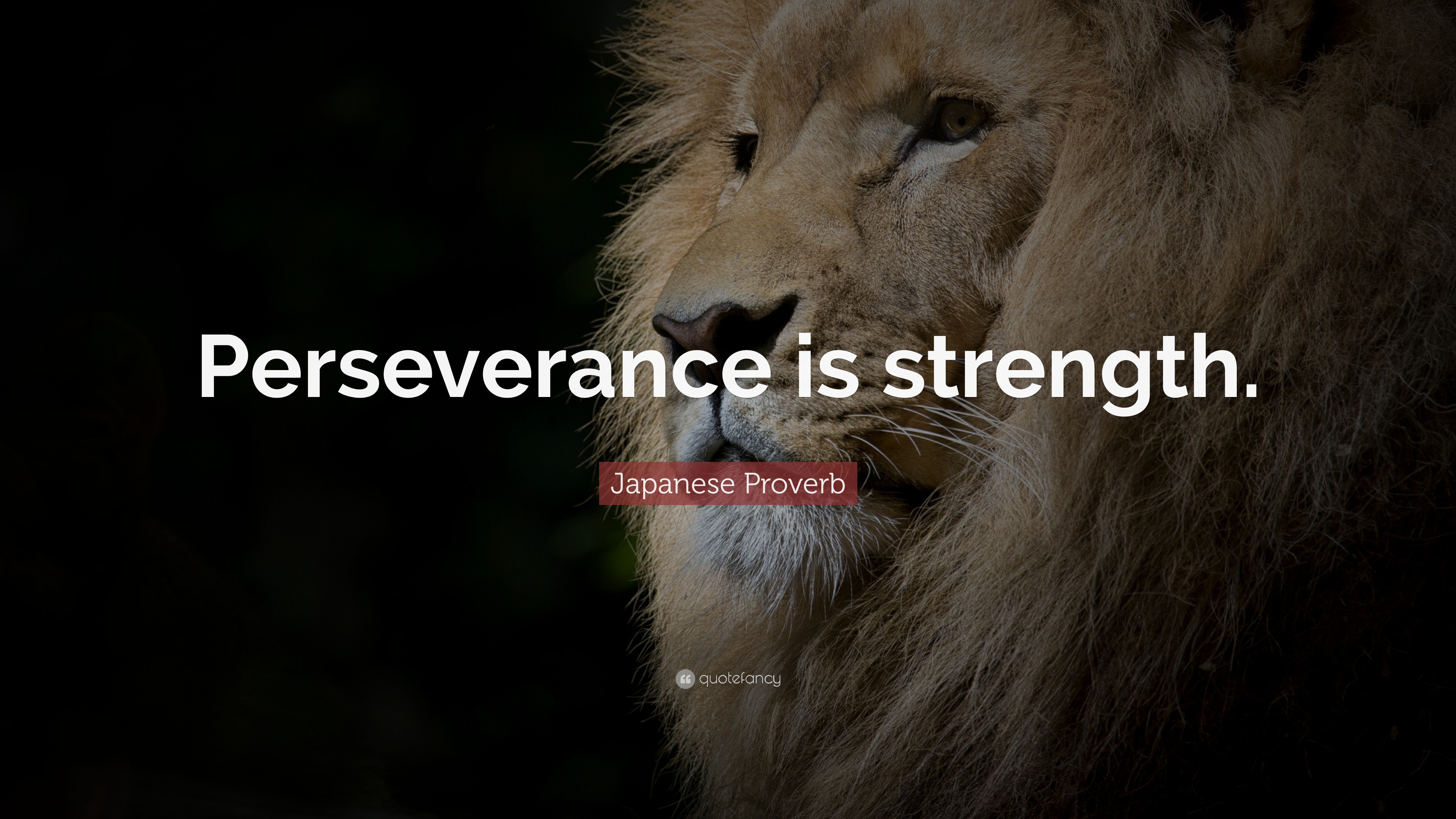 Japanese Proverb Quote: “Perseverance is strength.”