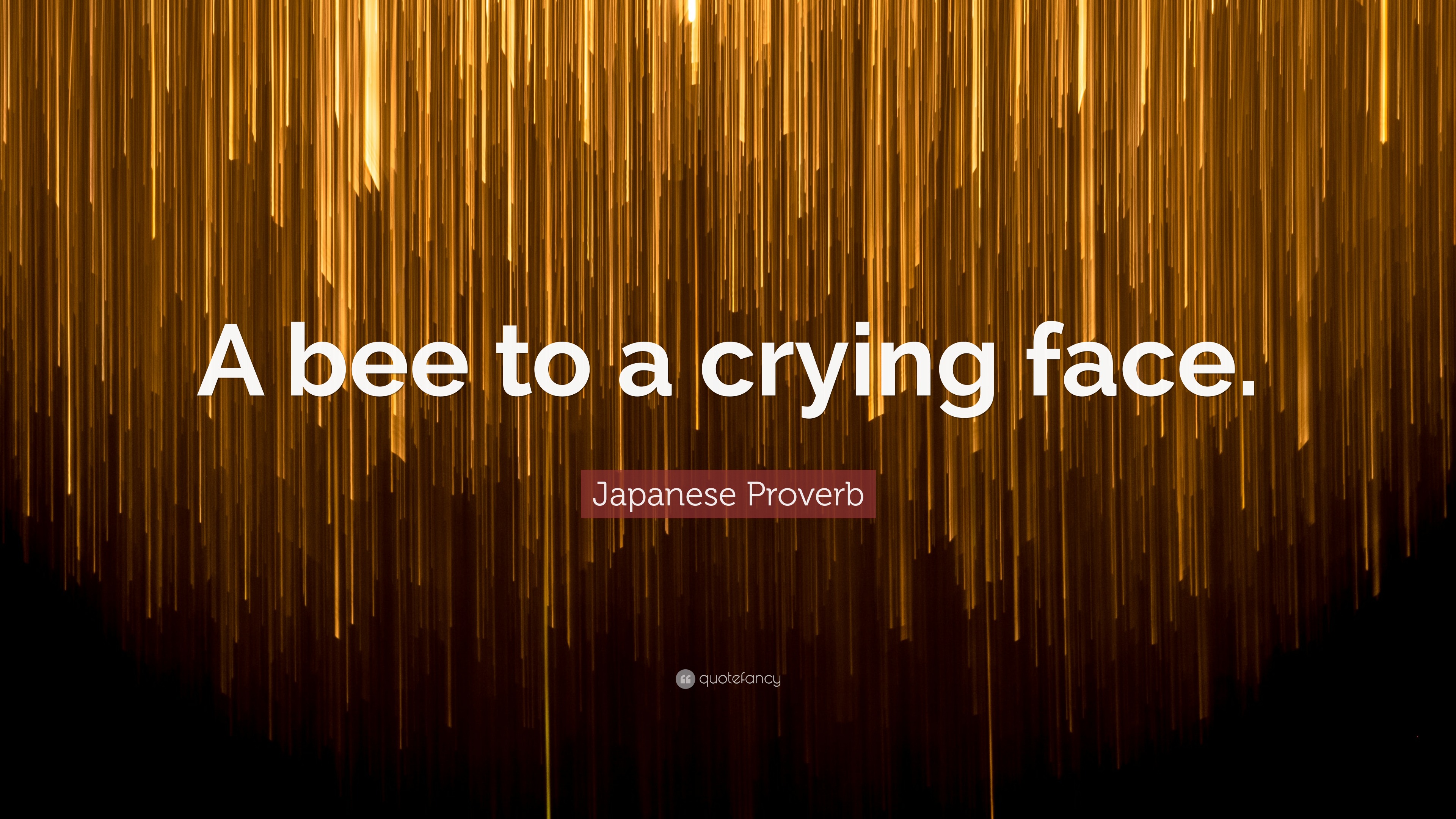 Japanese Proverb Quote: “A bee to a crying face.”