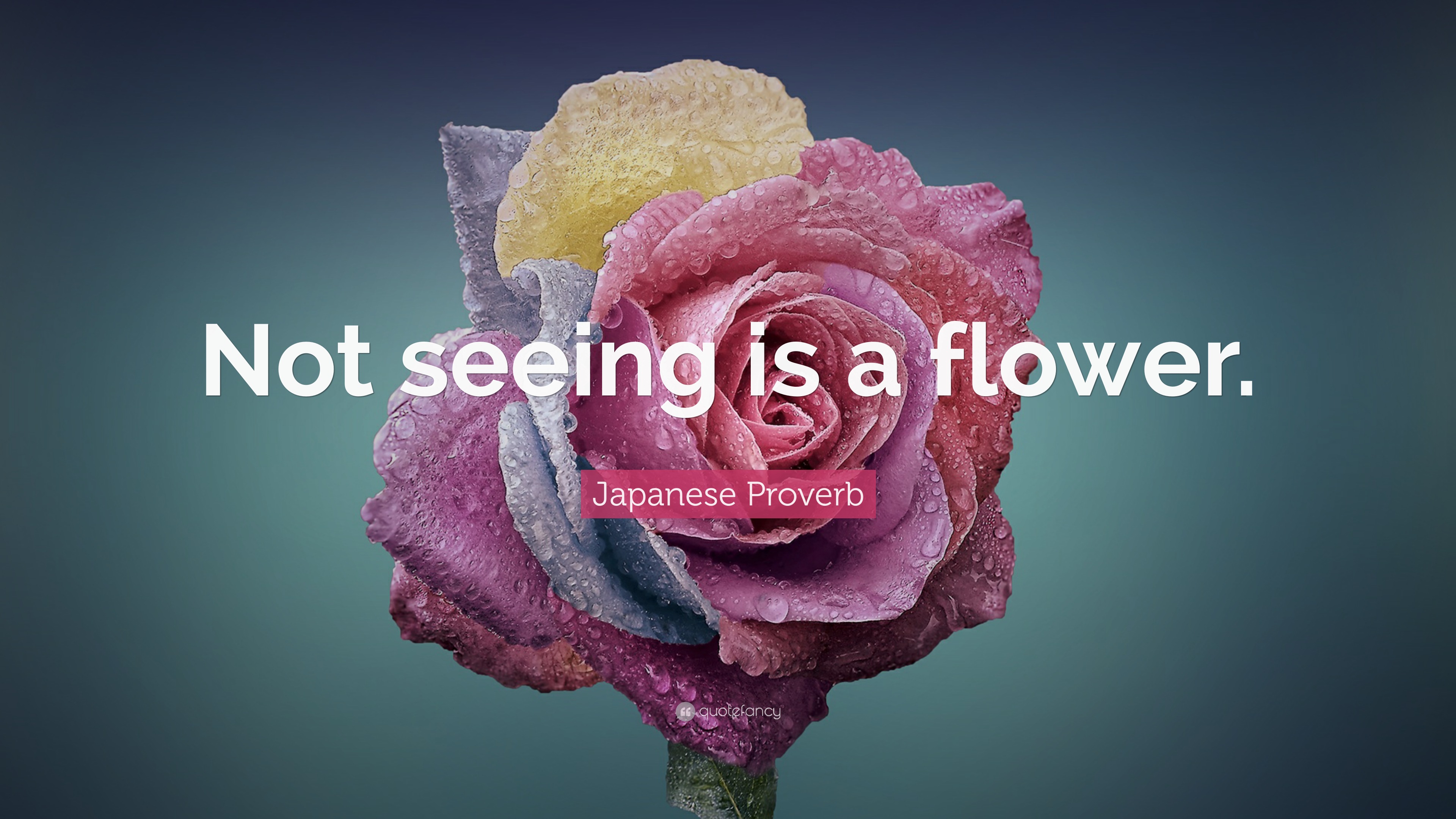Japanese Proverb Quote: “Not seeing is a flower.”