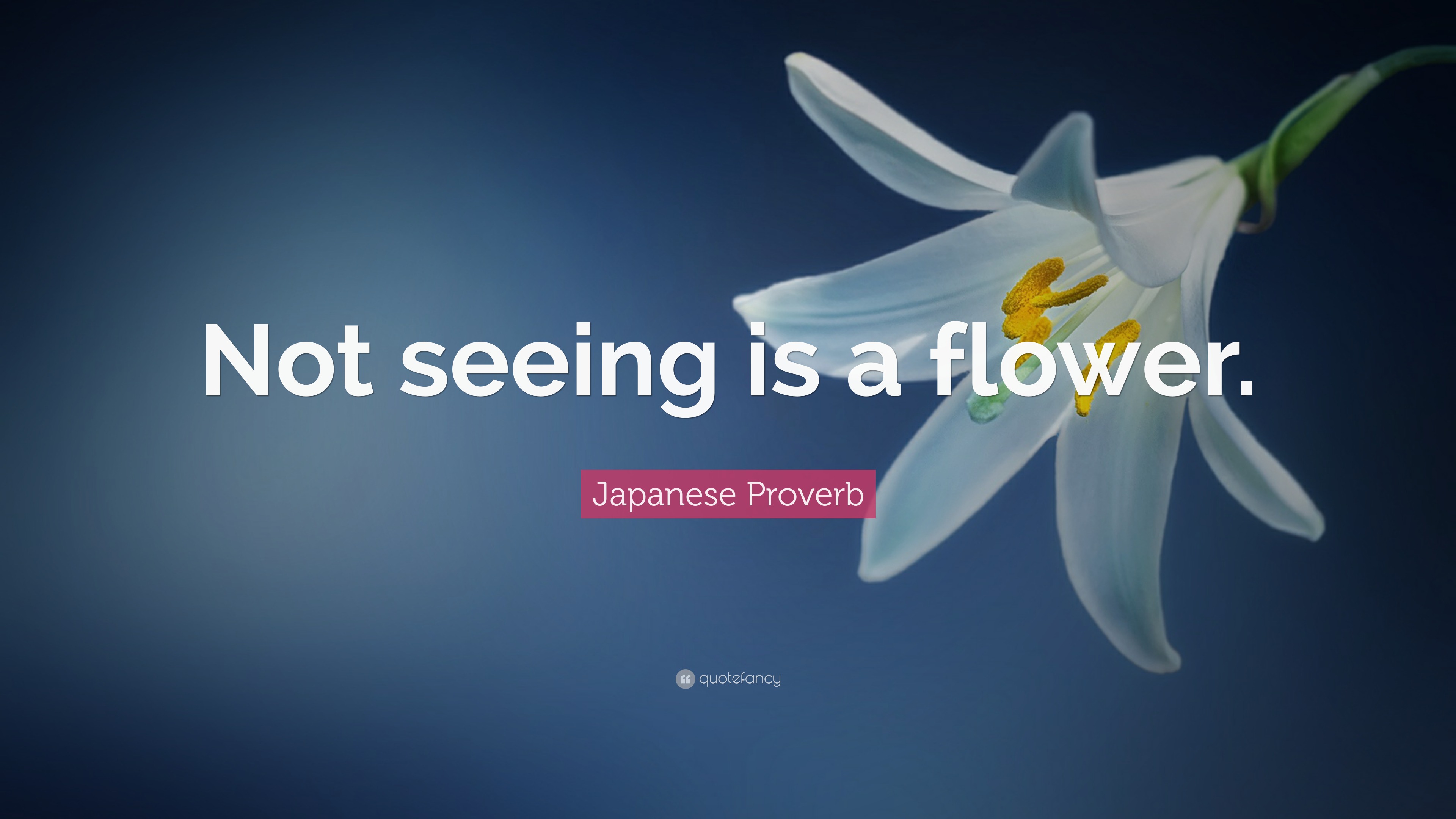Japanese Proverb Quote: “Not seeing is a flower.”