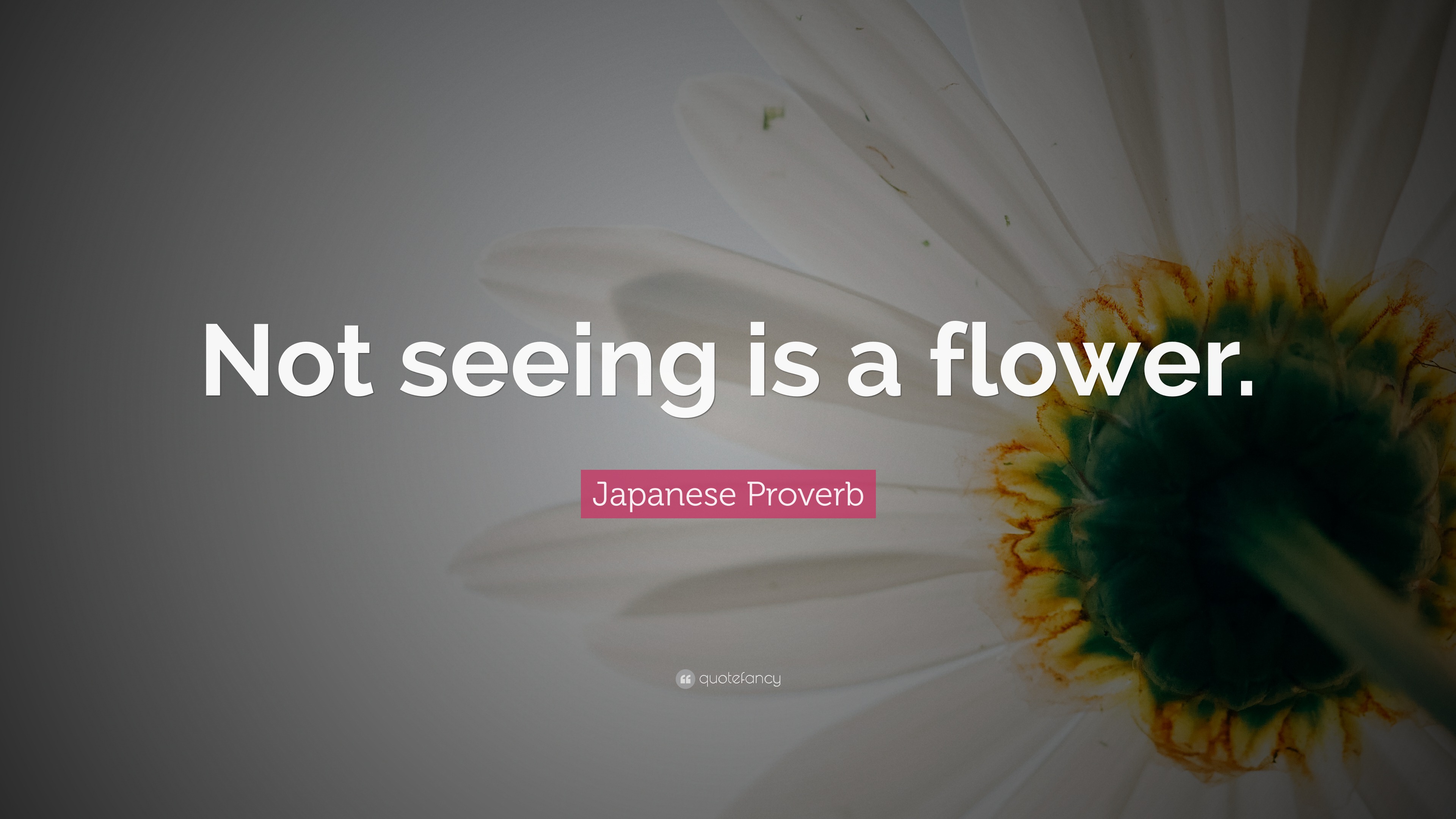 Japanese Proverb Quote: “Not seeing is a flower.”