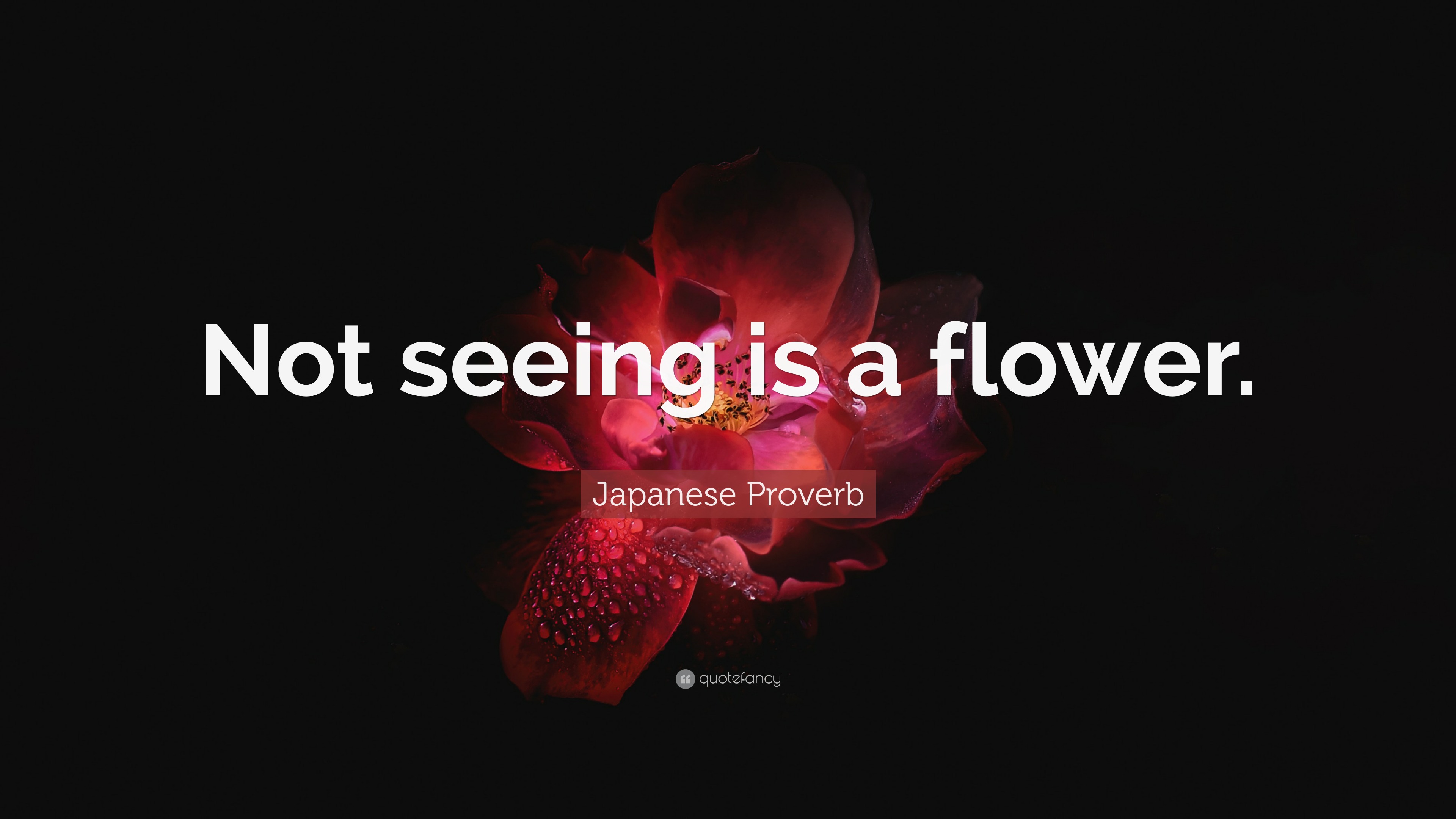 Japanese Proverb Quote: “Not seeing is a flower.”