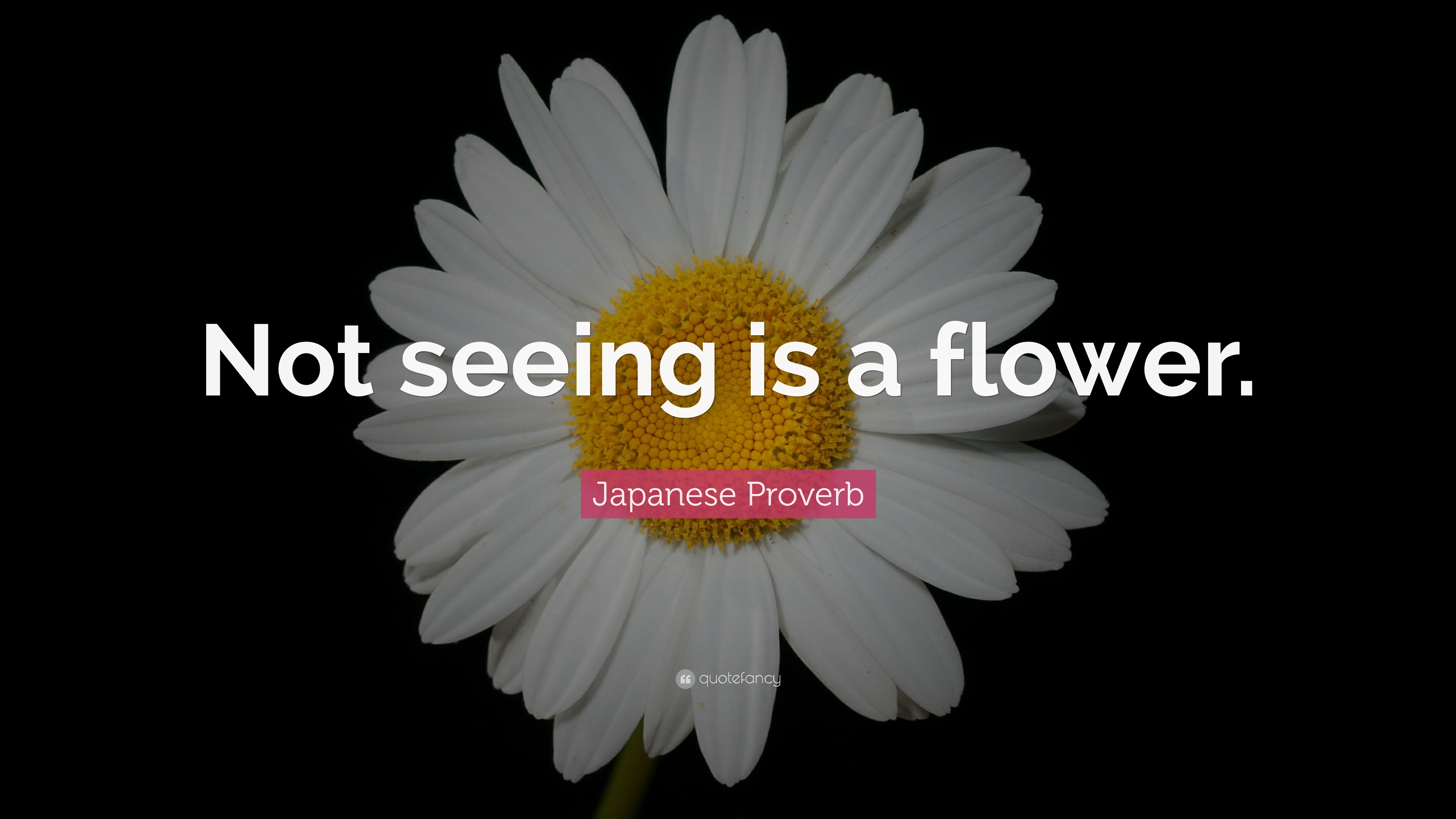 Japanese Proverb Quote: “Not seeing is a flower.”