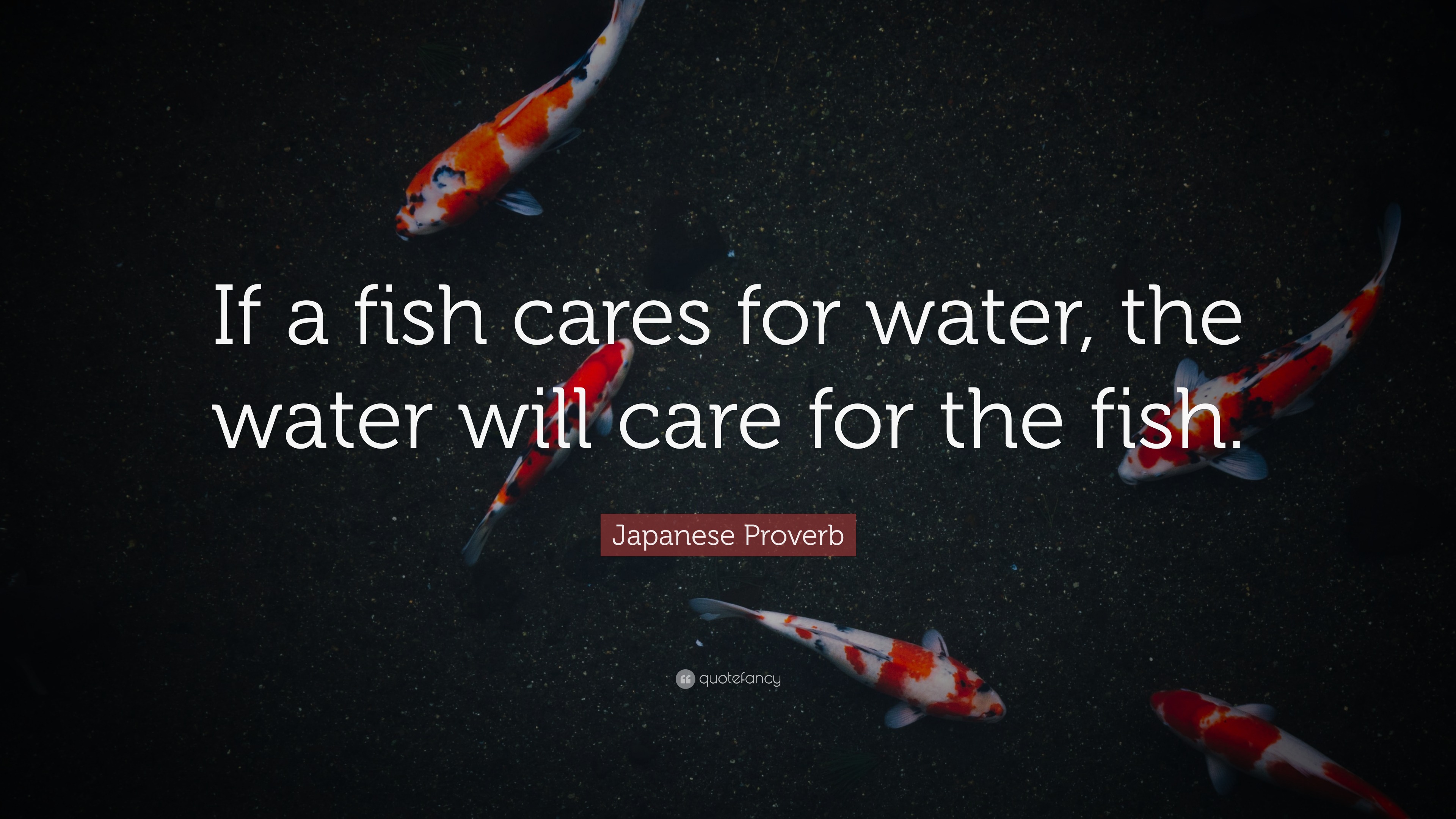 Japanese Proverb Quote: “If a fish cares for water, the water will care ...