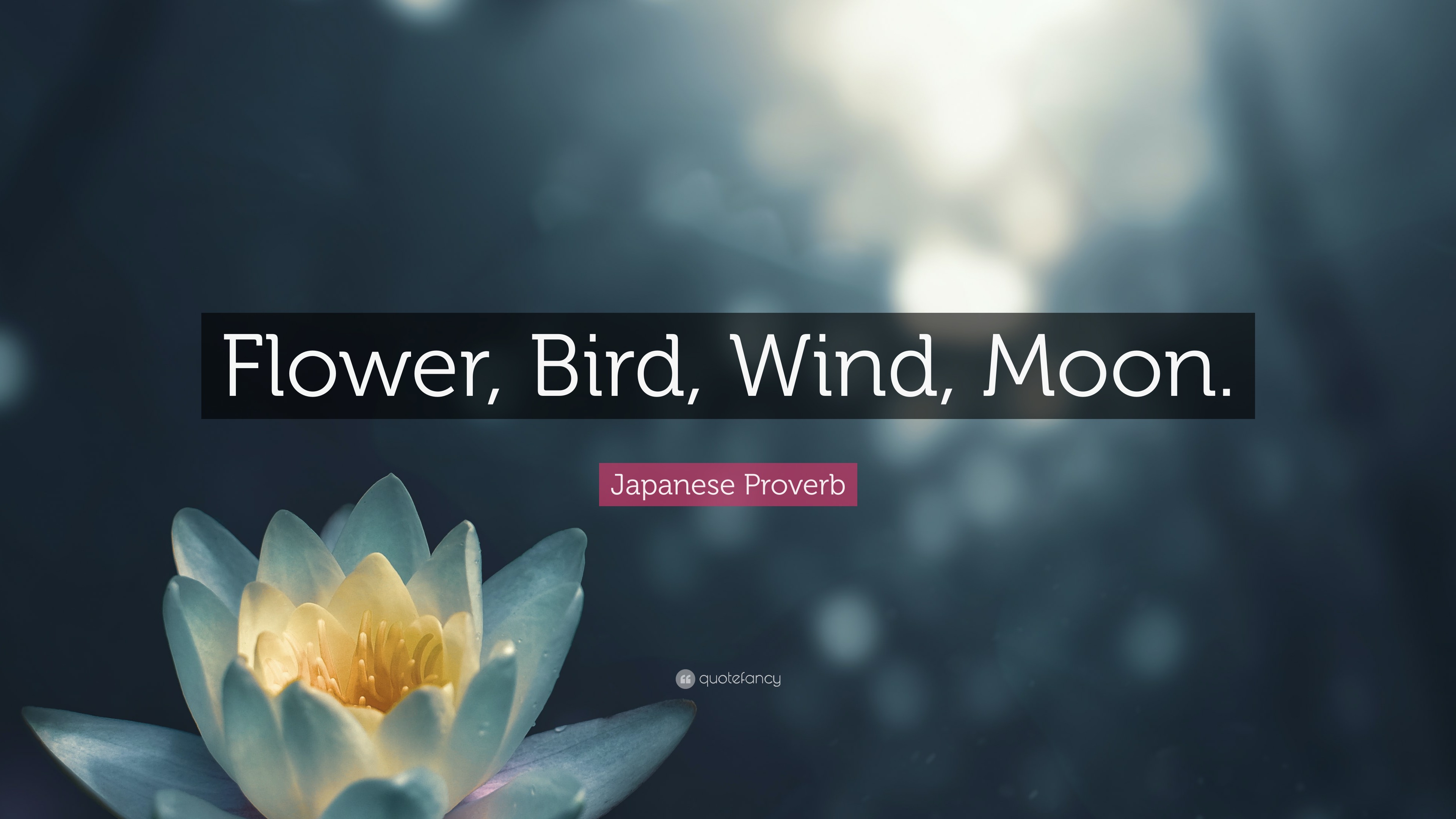 Japanese Proverb Quote: “Flower, Bird, Wind, Moon.”