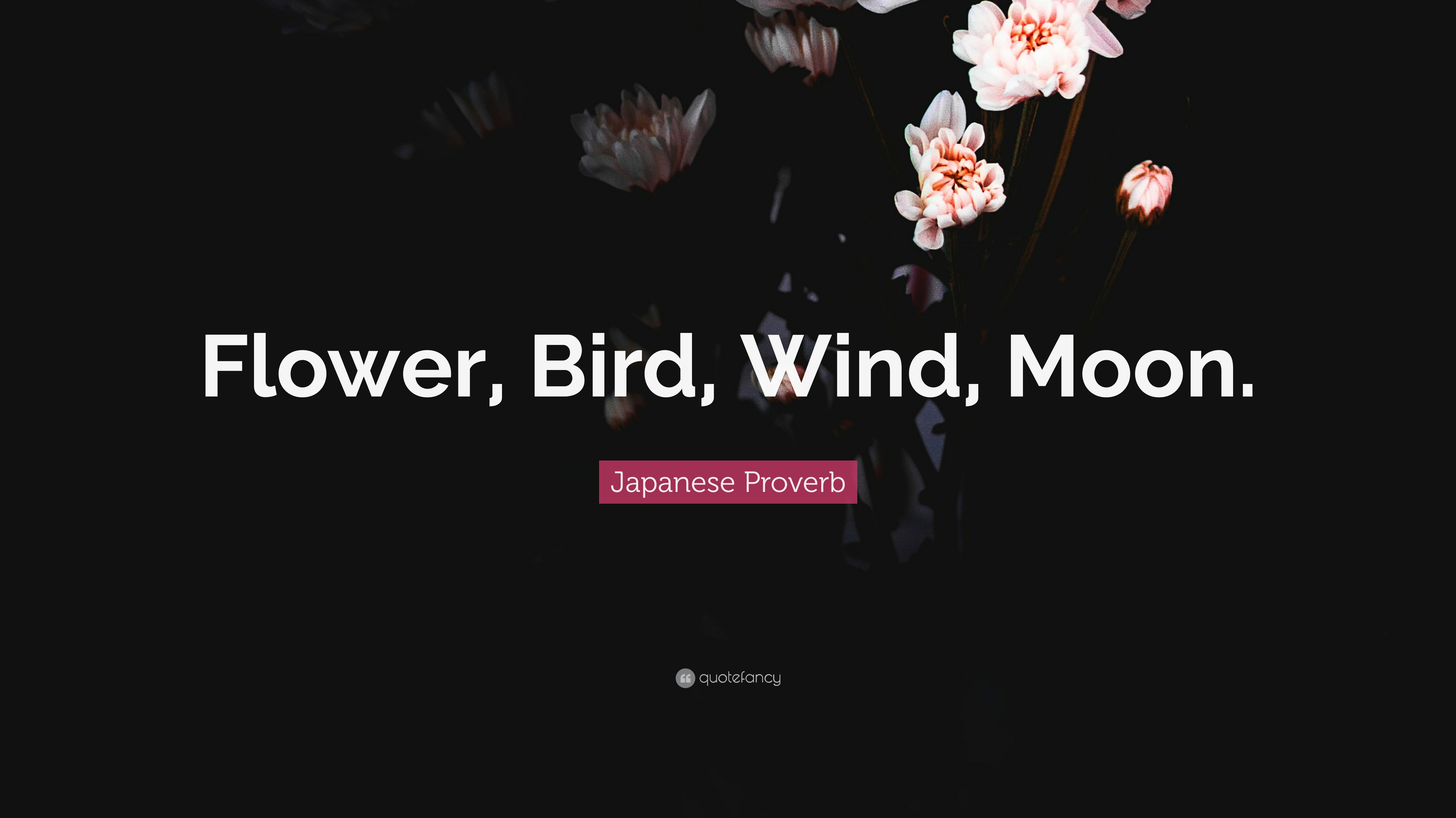 Japanese Proverb Quote: “Flower, Bird, Wind, Moon.”