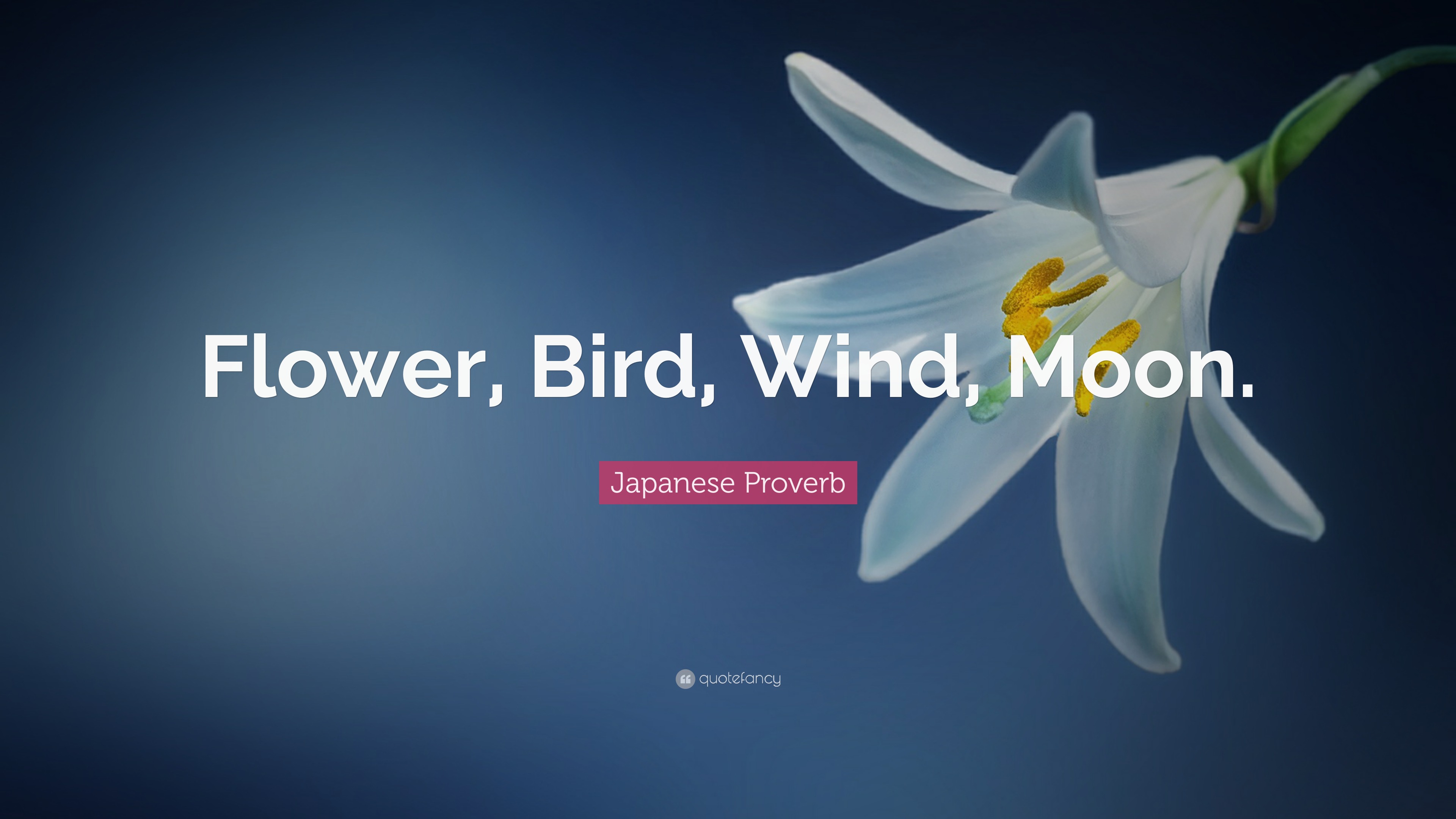 Japanese Proverb Quote: “Flower, Bird, Wind, Moon.”