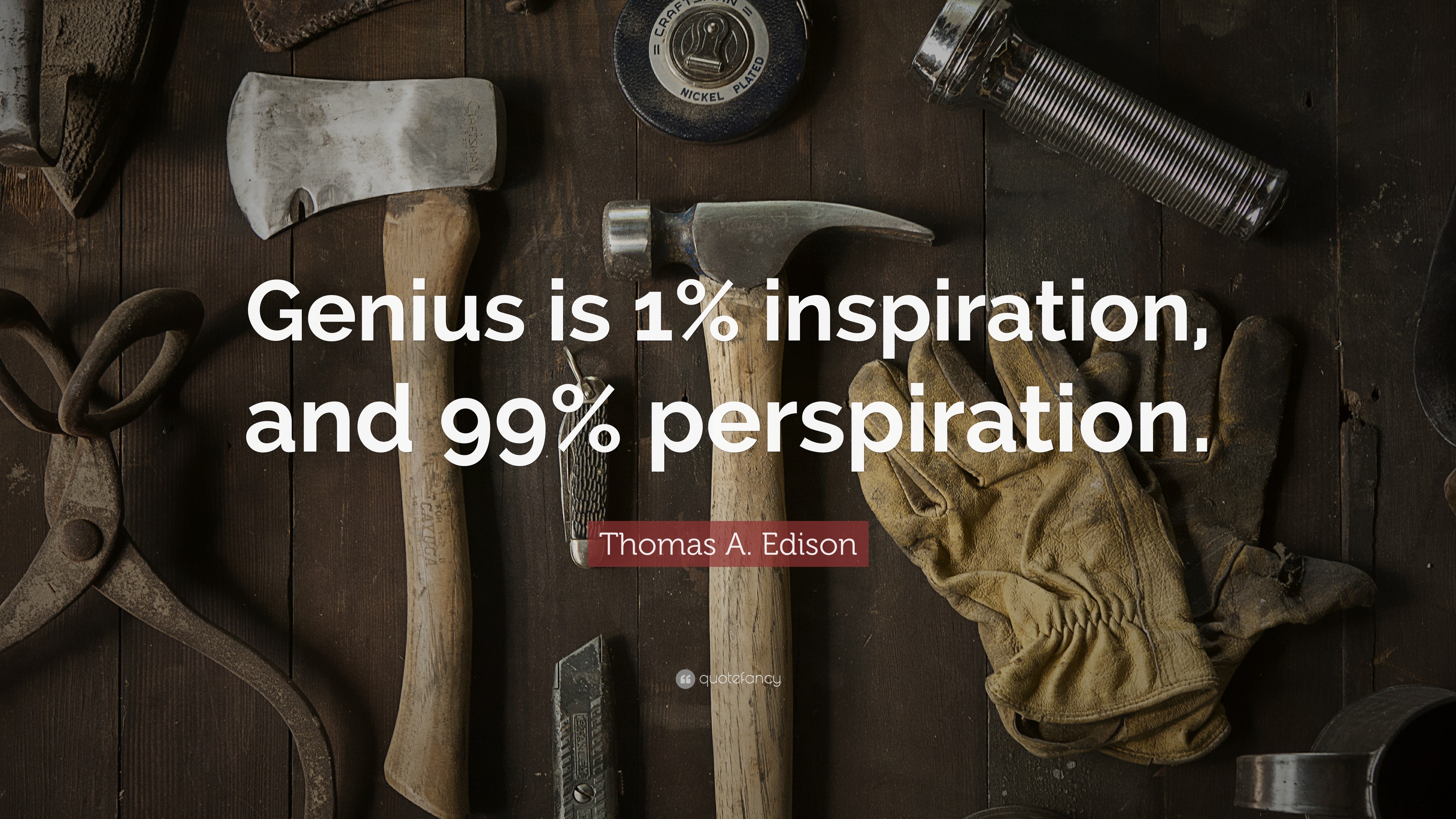 Thomas A. Edison Quote: “Genius is 1% inspiration, and 99% perspiration.”