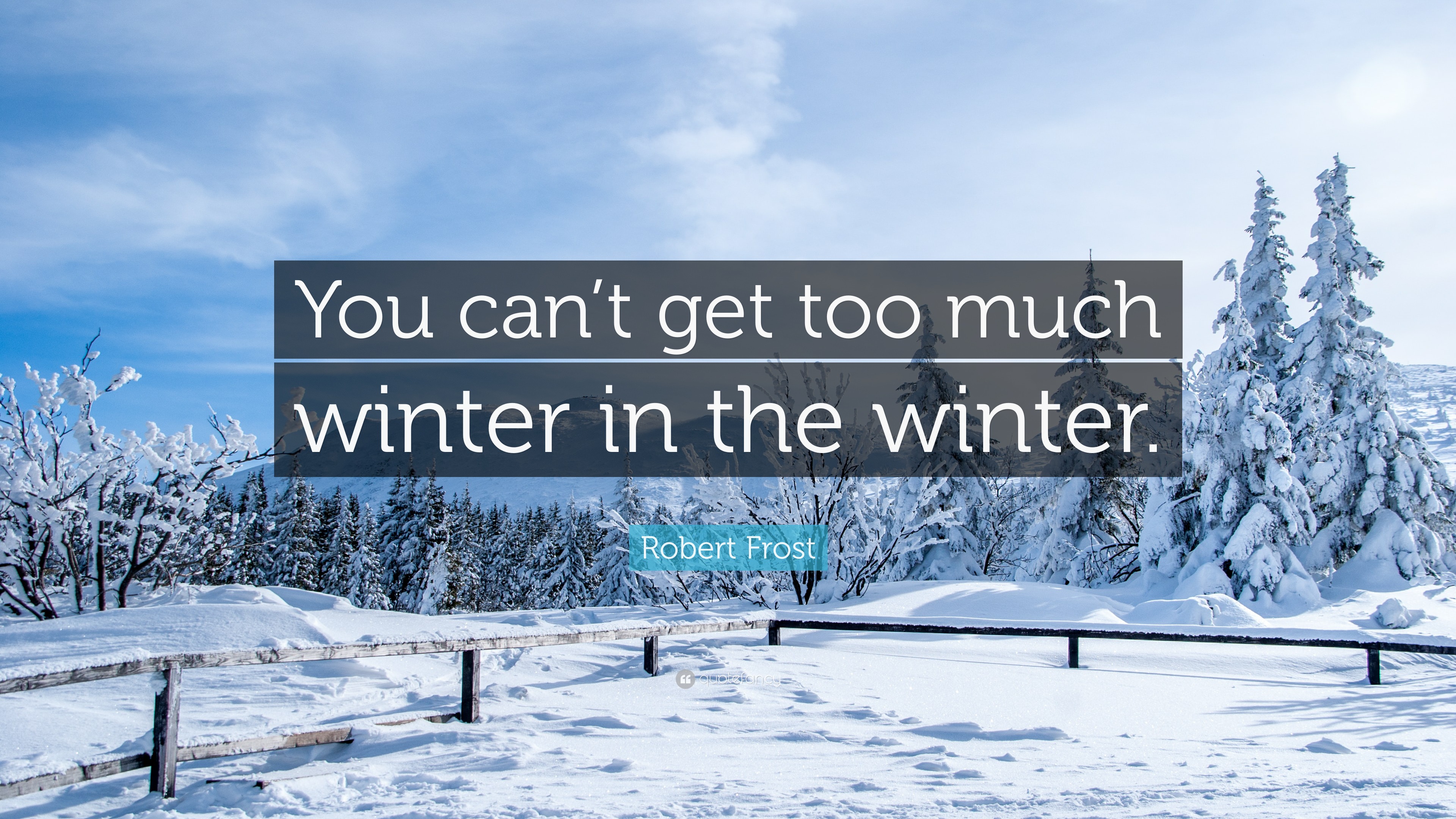 Robert Frost Quote: “You can’t get too much winter in the winter.”