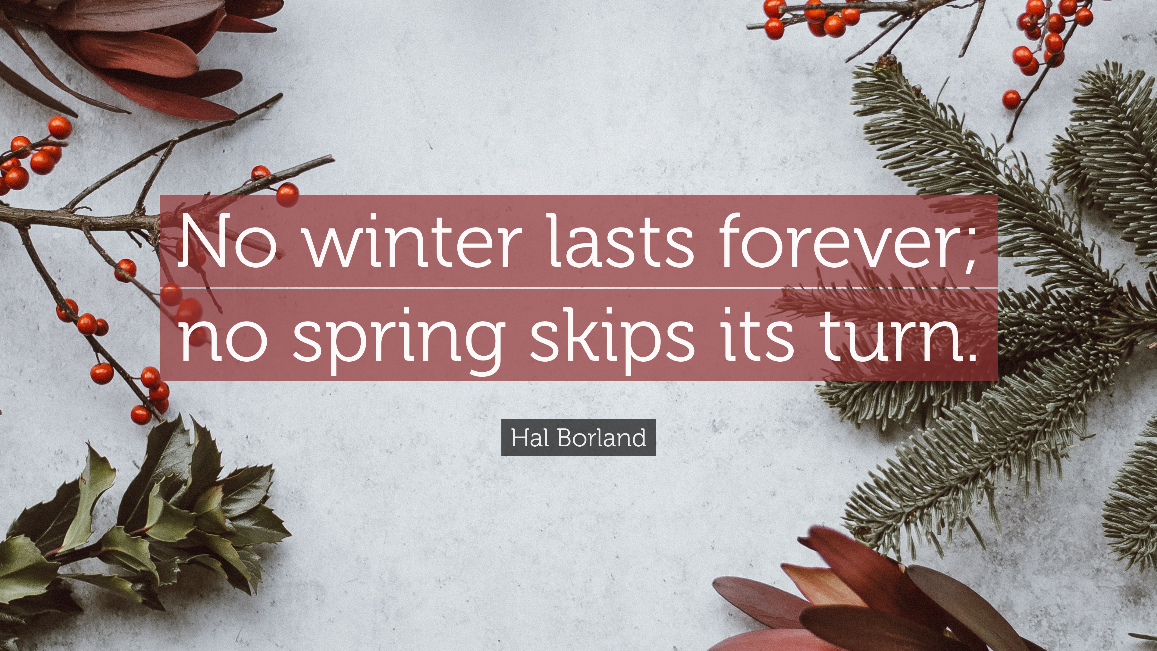 Hal Borland Quote: “No winter lasts forever; no spring skips its turn.”