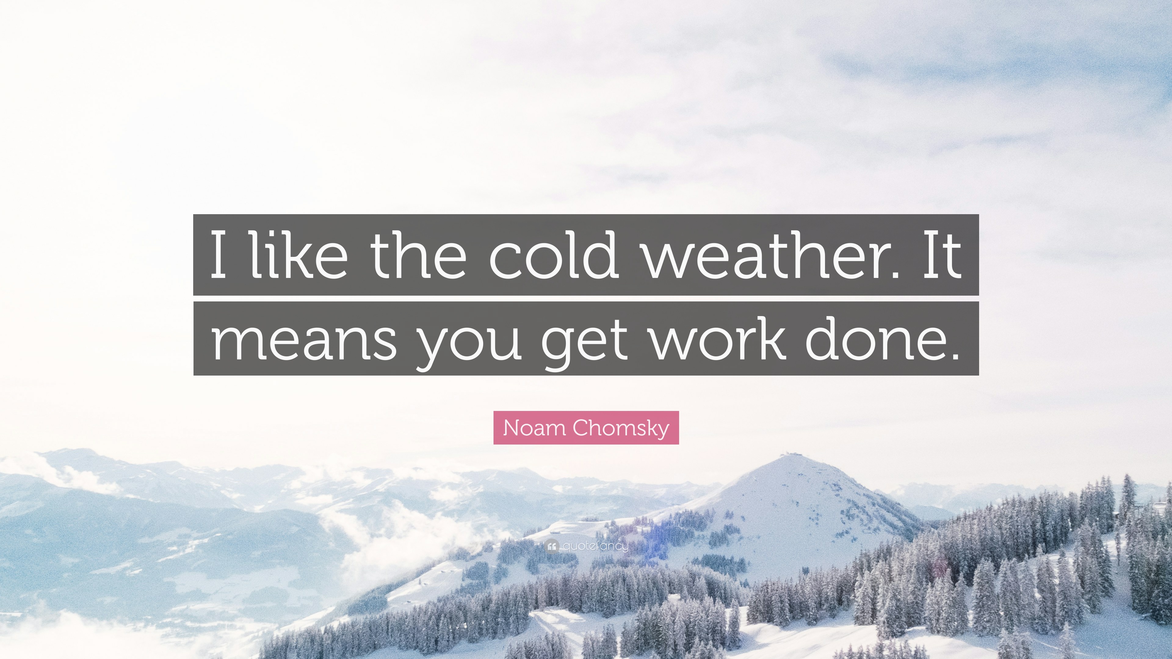 Noam Chomsky Quote: “I like the cold weather. It means you get work done.”