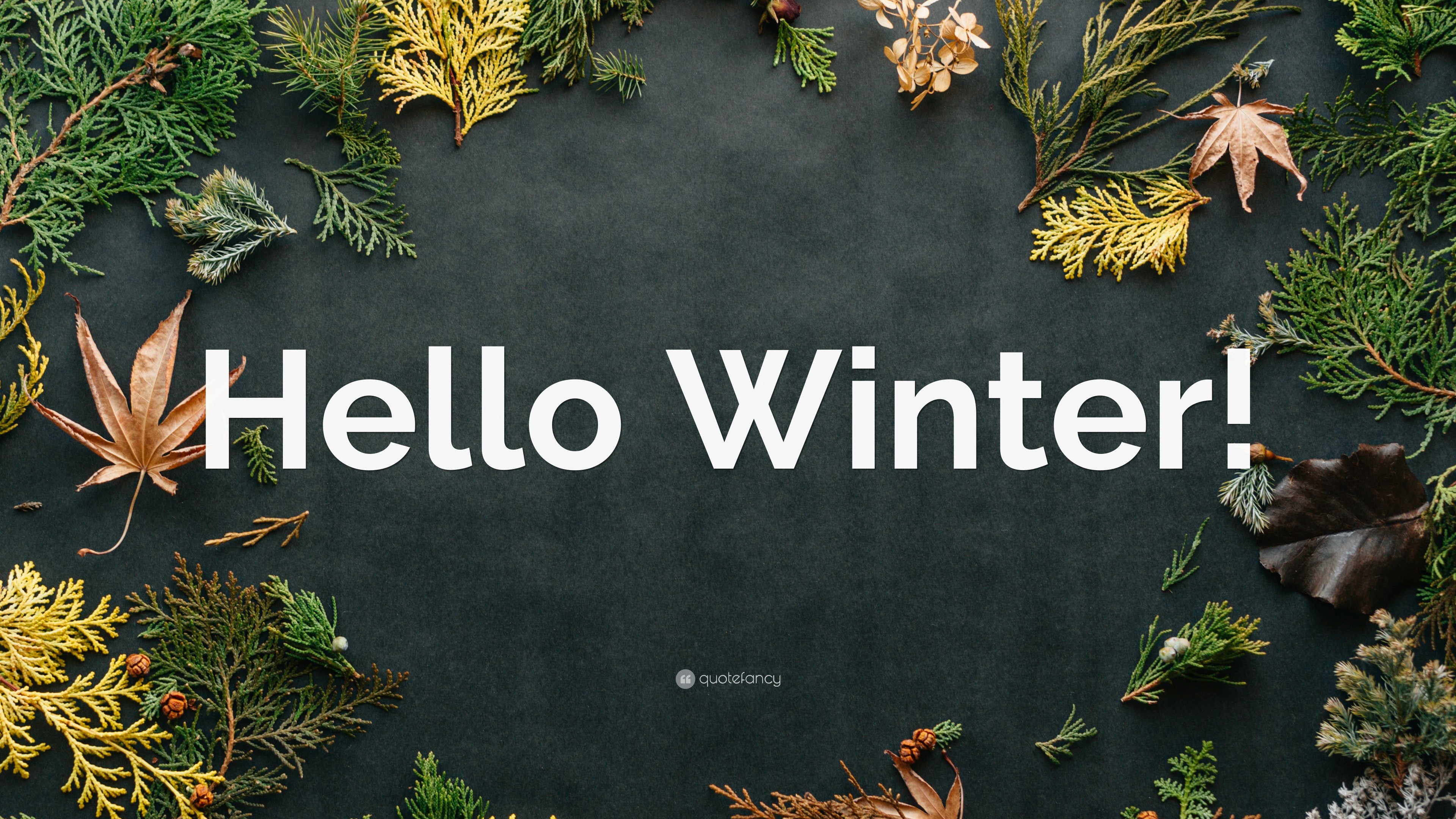 “Hello Winter!” Wallpaper by QuoteFancy