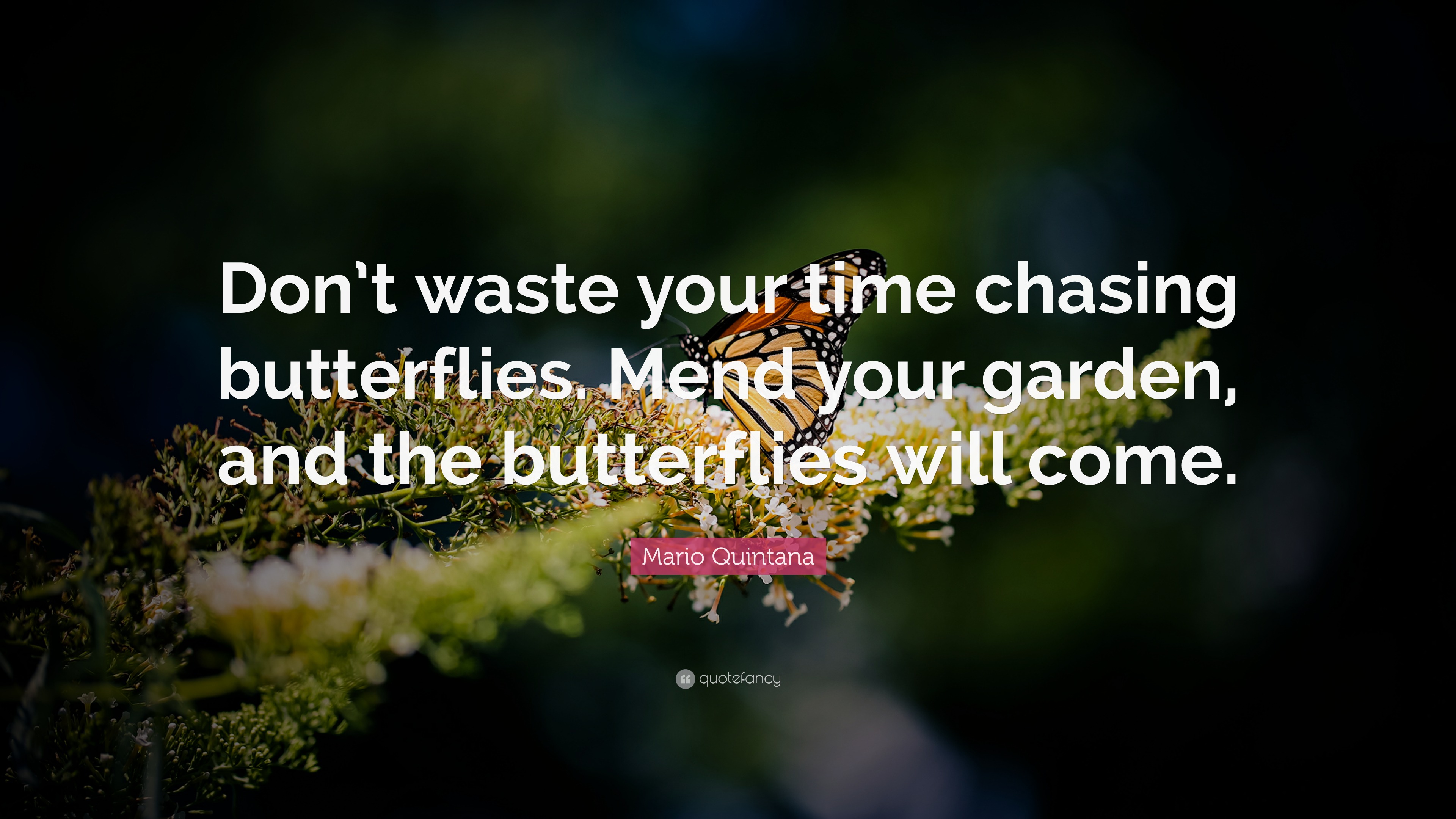 Mario Quintana Quote: “Don’t waste your time chasing butterflies. Mend ...