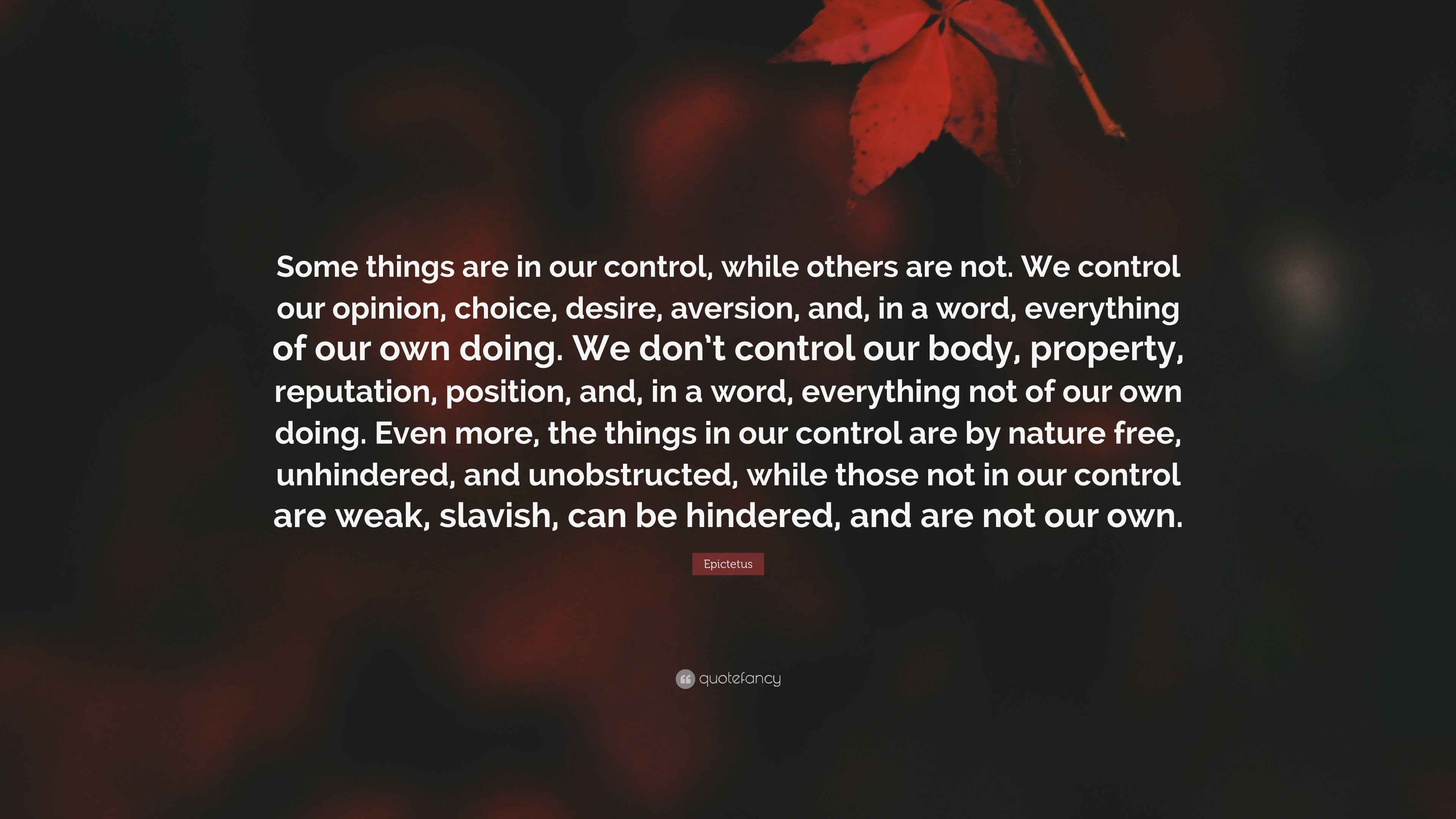 Epictetus Quote: “Some things are in our control, while others are not ...