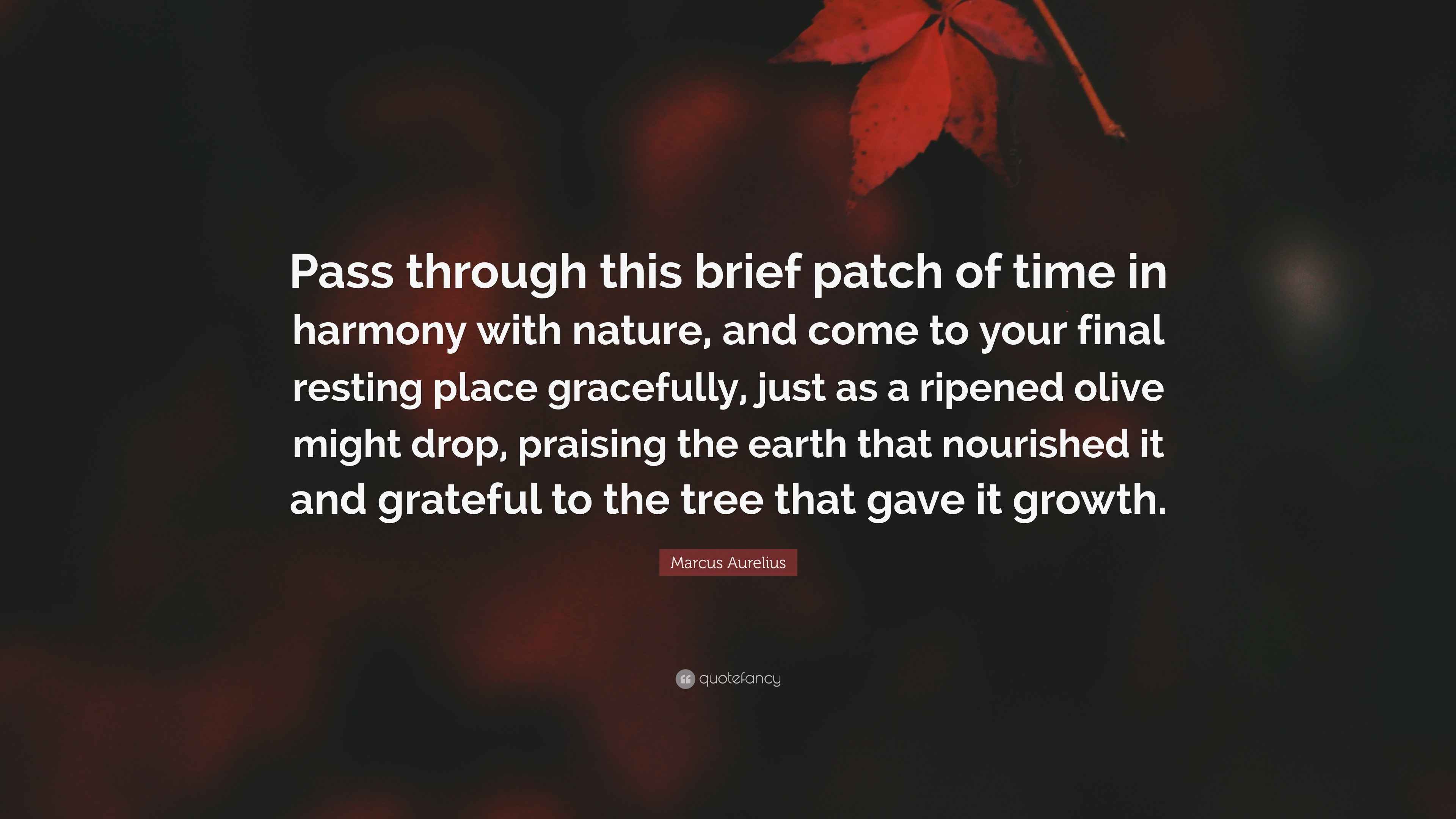 Marcus Aurelius Quote: “Pass through this brief patch of time in ...