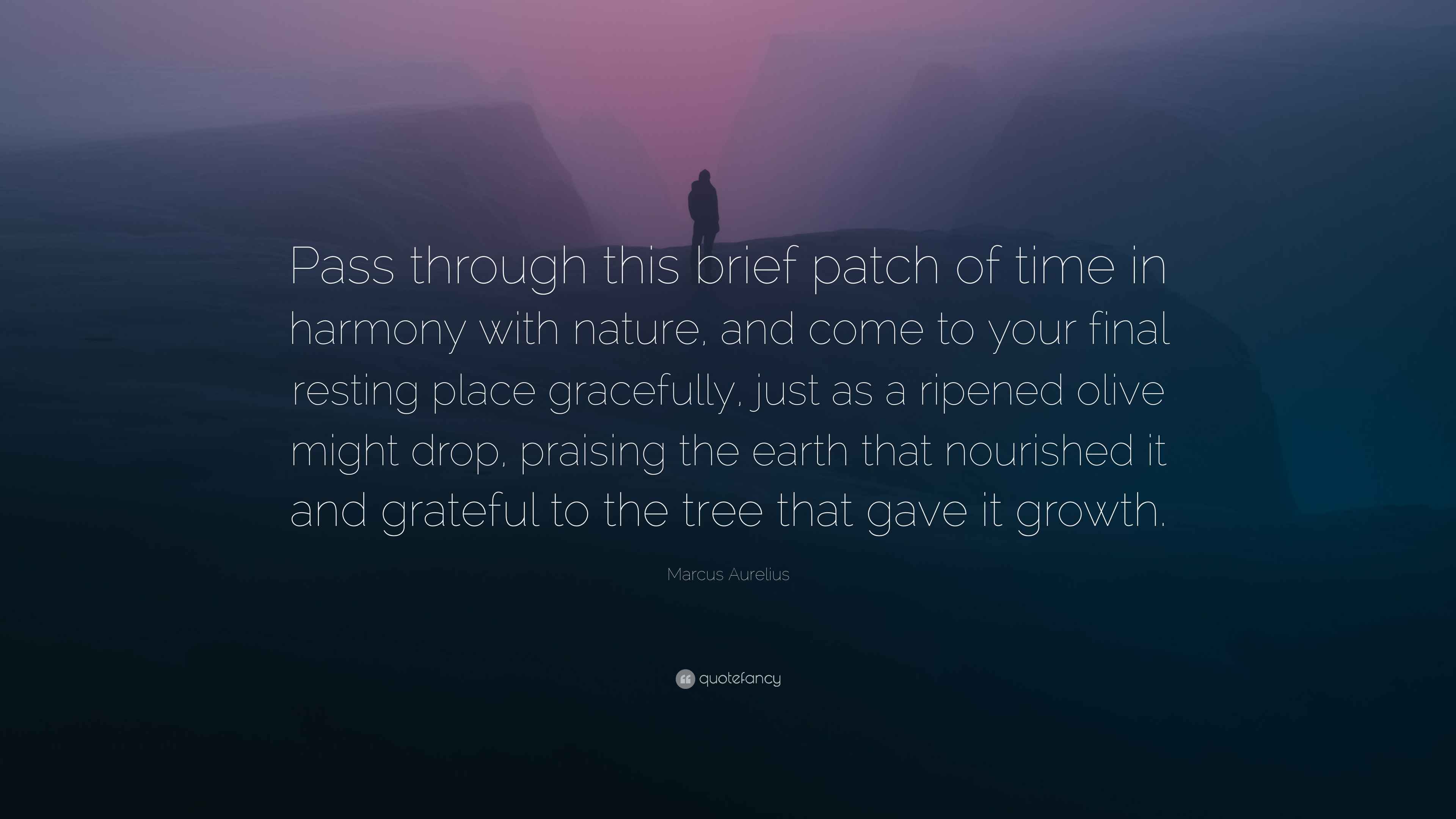 Marcus Aurelius Quote: “Pass through this brief patch of time in ...