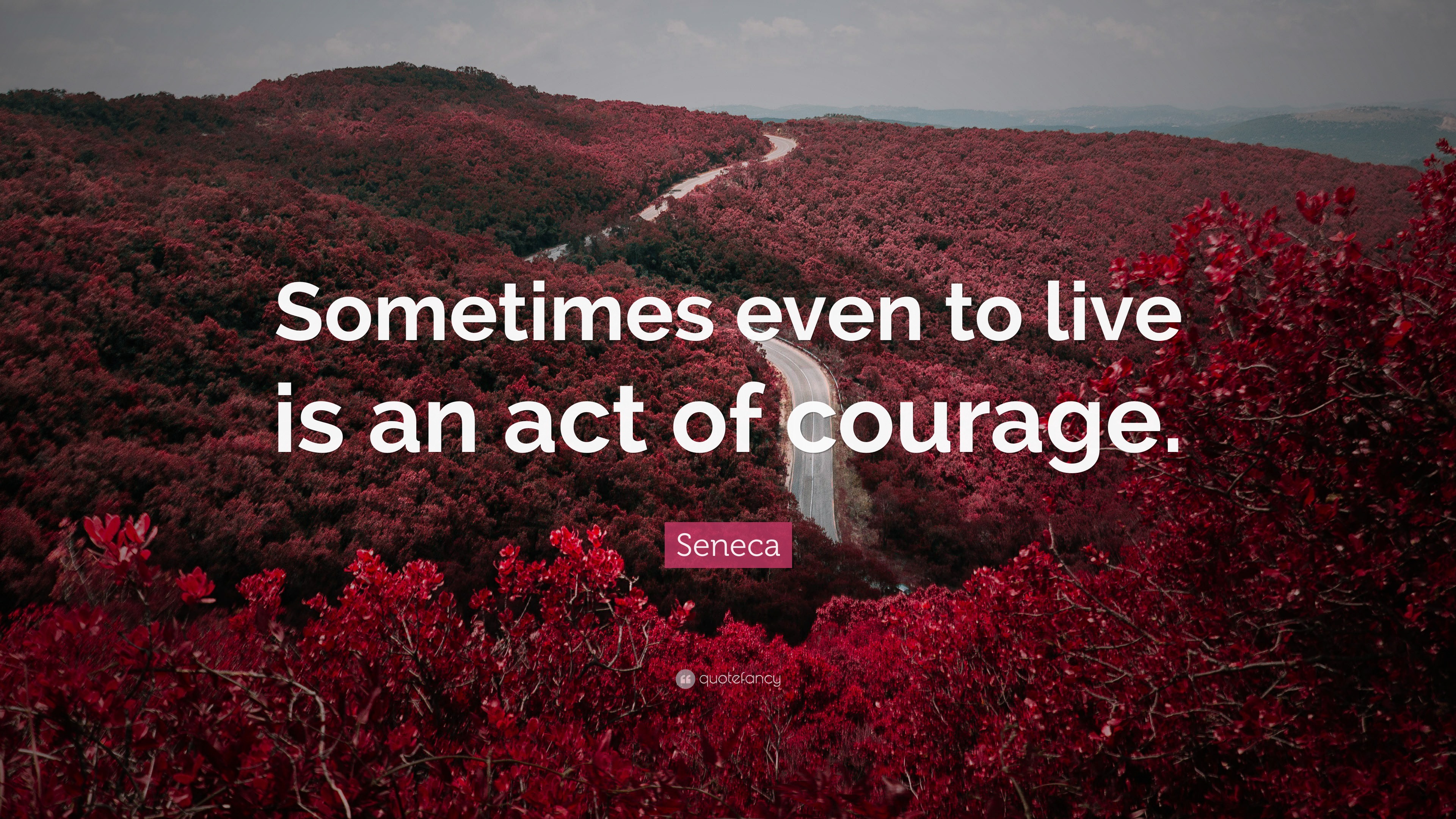 Seneca Quote: “Sometimes even to live is an act of courage.”
