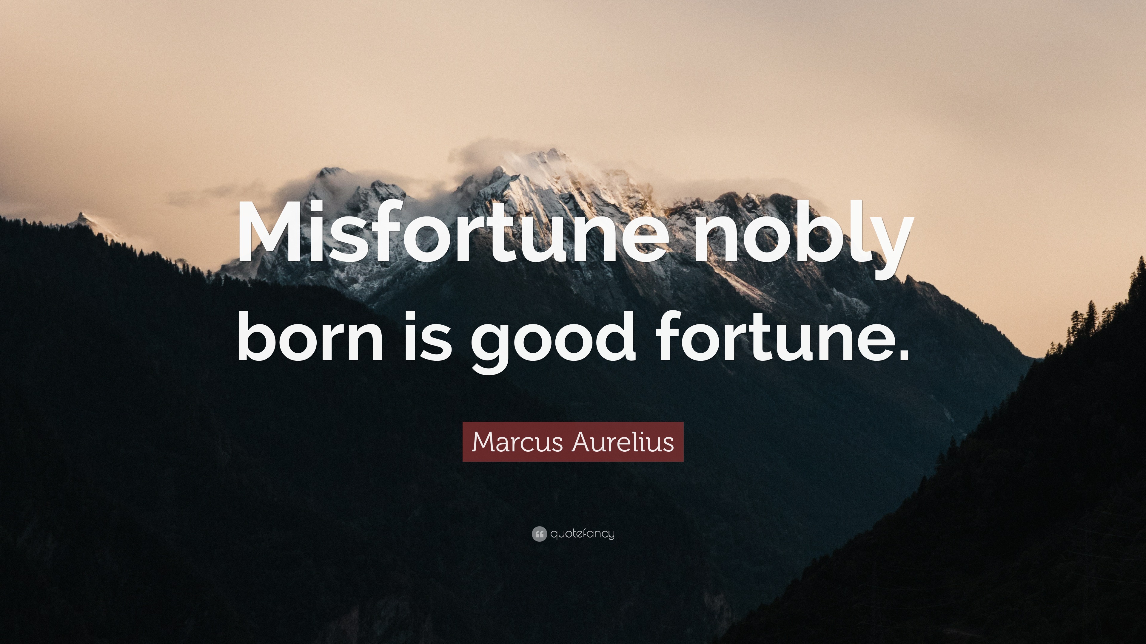 Marcus Aurelius Quote: “Misfortune nobly born is good fortune.”