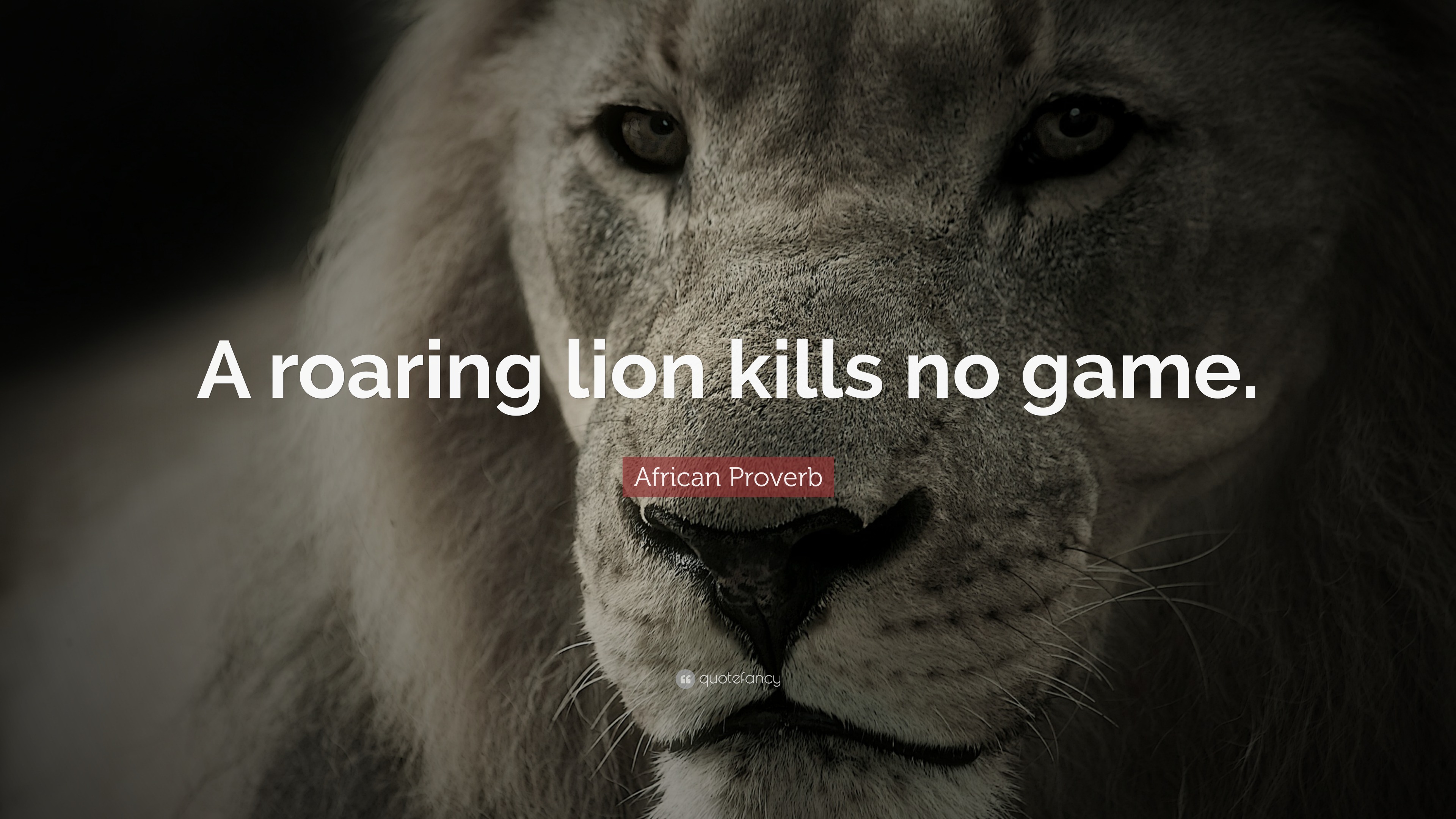 African Proverb Quote: “A roaring lion kills no game.”