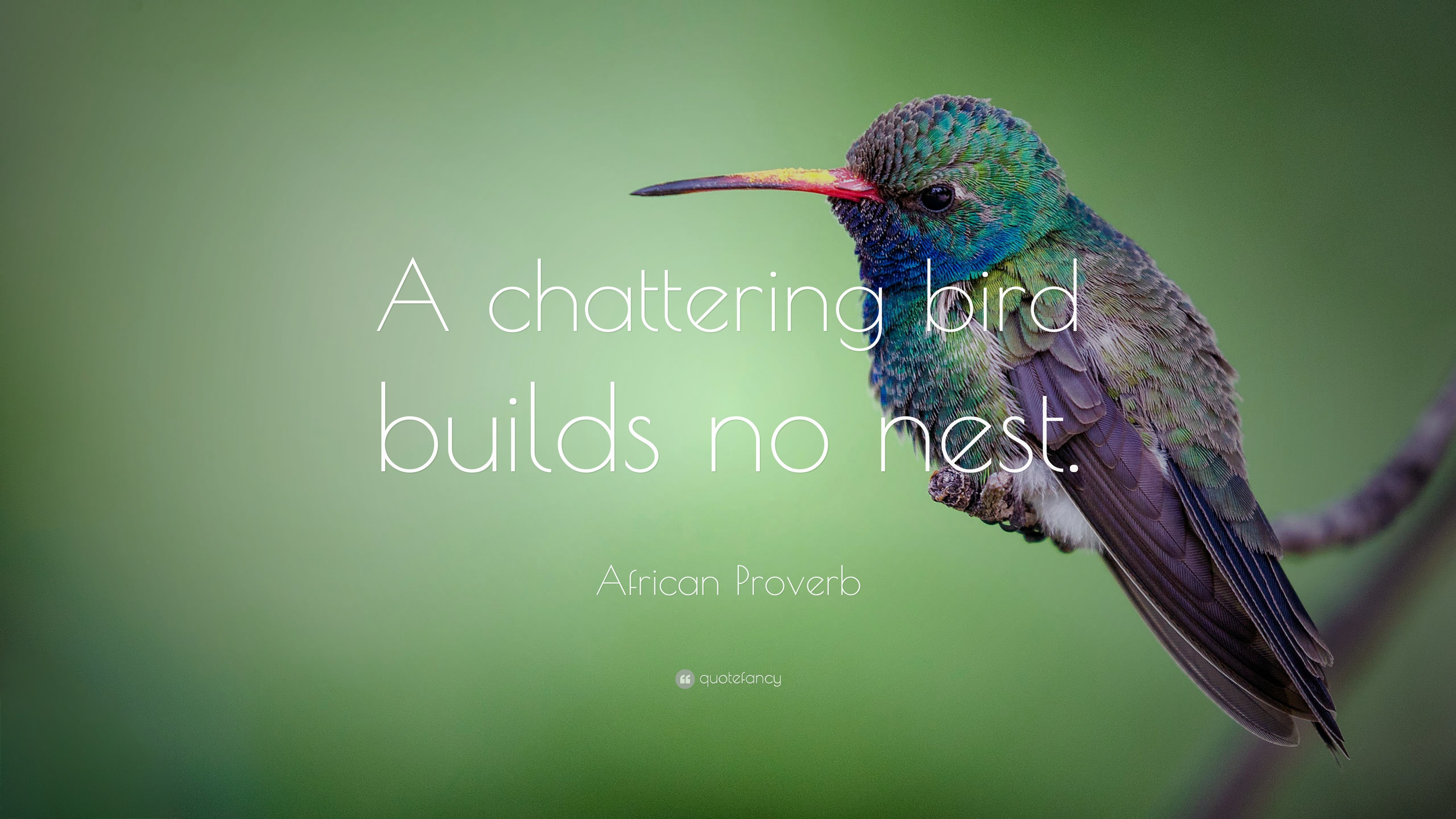 African Proverb Quote: “A chattering bird builds no nest.”