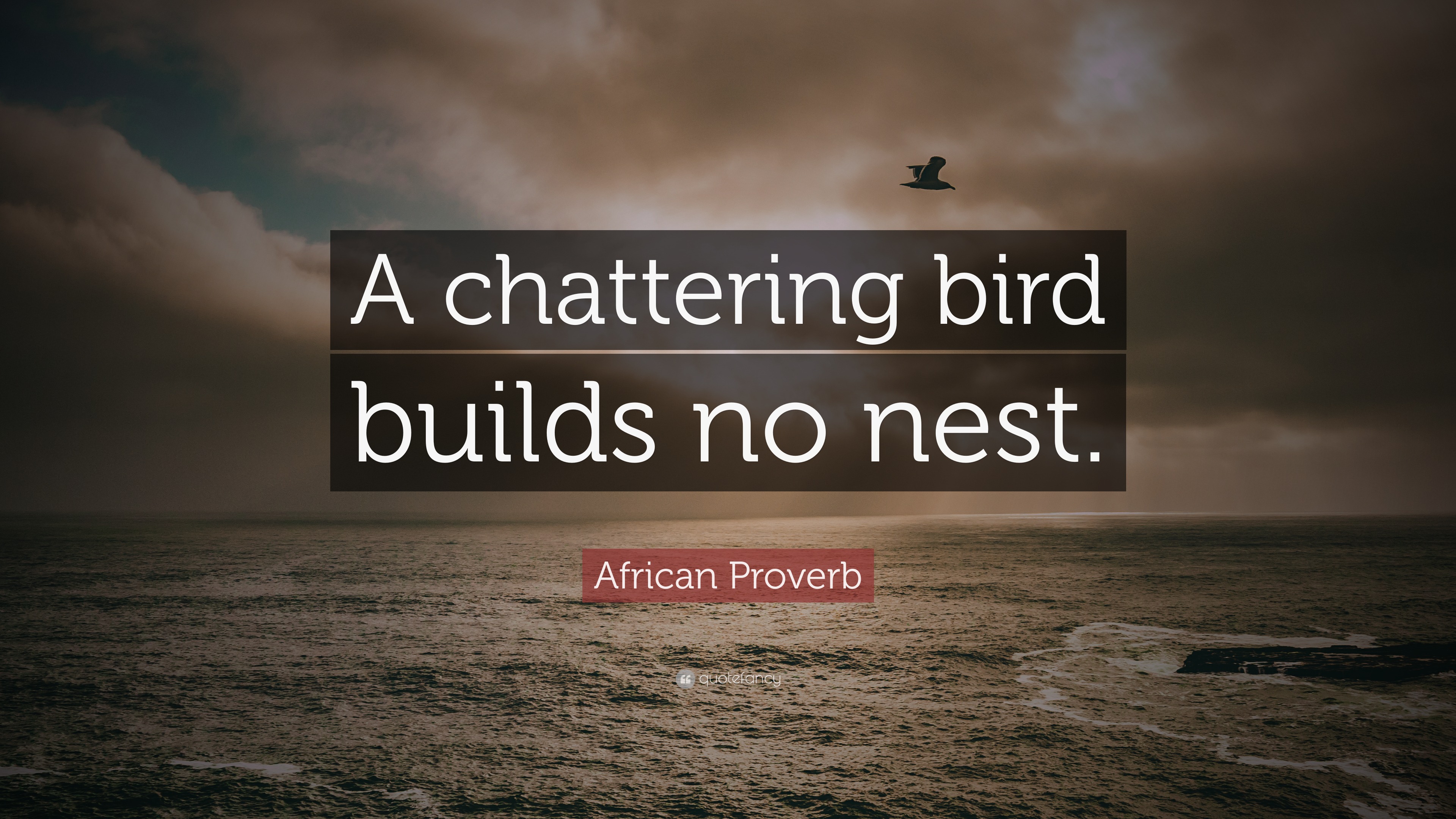 African Proverb Quote: “A chattering bird builds no nest.”