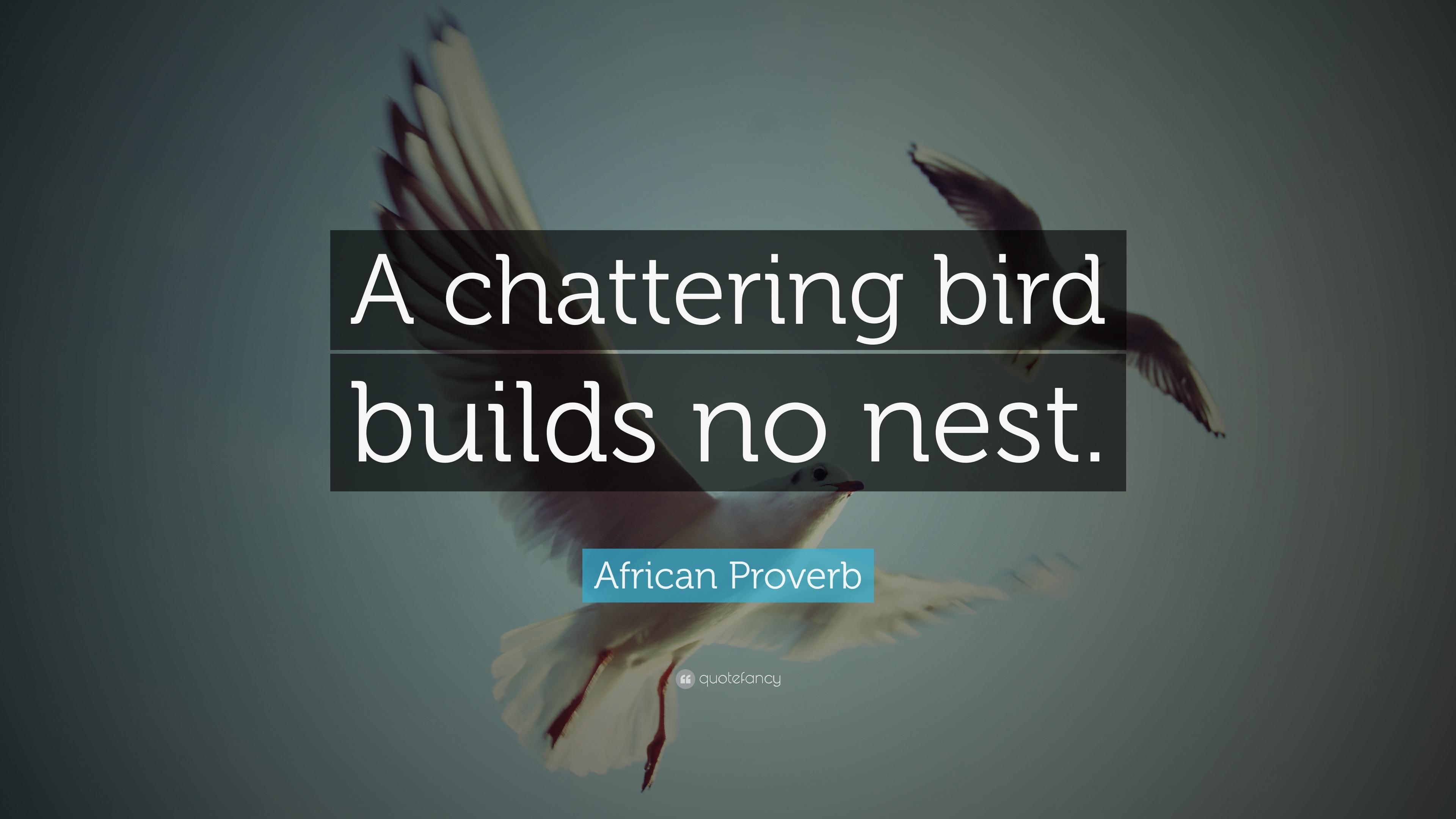 African Proverb Quote: “A chattering bird builds no nest.”